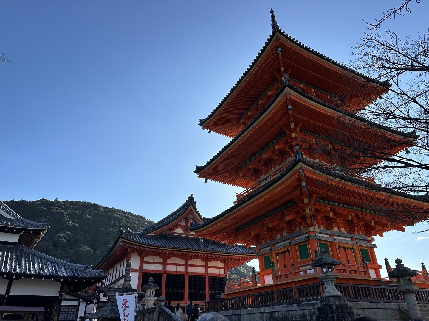 京都トレイル・東山コースを歩こう。 / tamiwaさんの京都一周トレイルの活動データ | YAMAP / ヤマップ