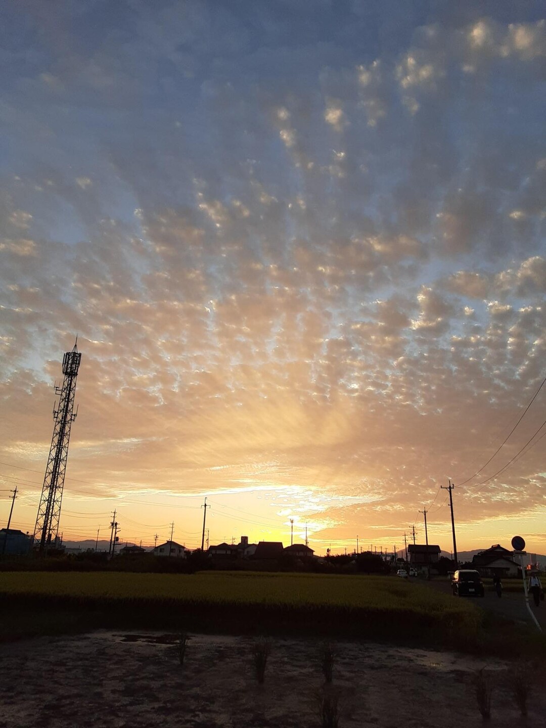 久しぶりに会社オフィスへ その帰り道に伊... / yu16さんのモーメント | YAMAP / ヤマップ