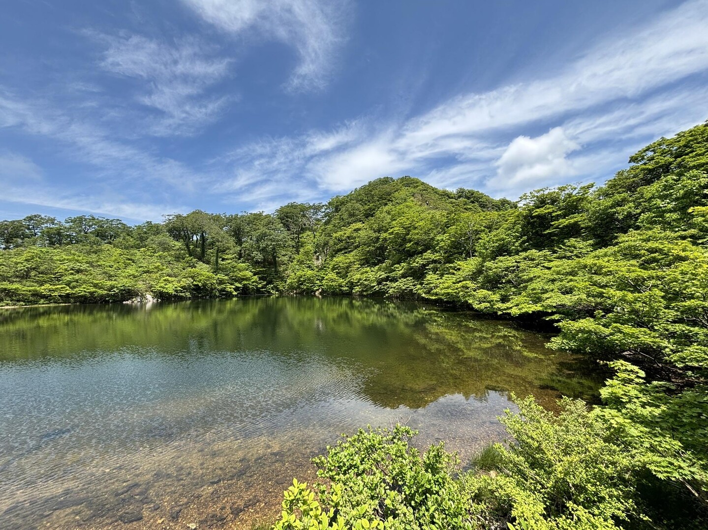 夜叉ヶ池山・三周ヶ岳-2024-06-01 / 髭坊主_Vストロム250&ビートさんの夜叉ヶ池山・三周ヶ岳の活動データ | YAMAP / ヤマップ