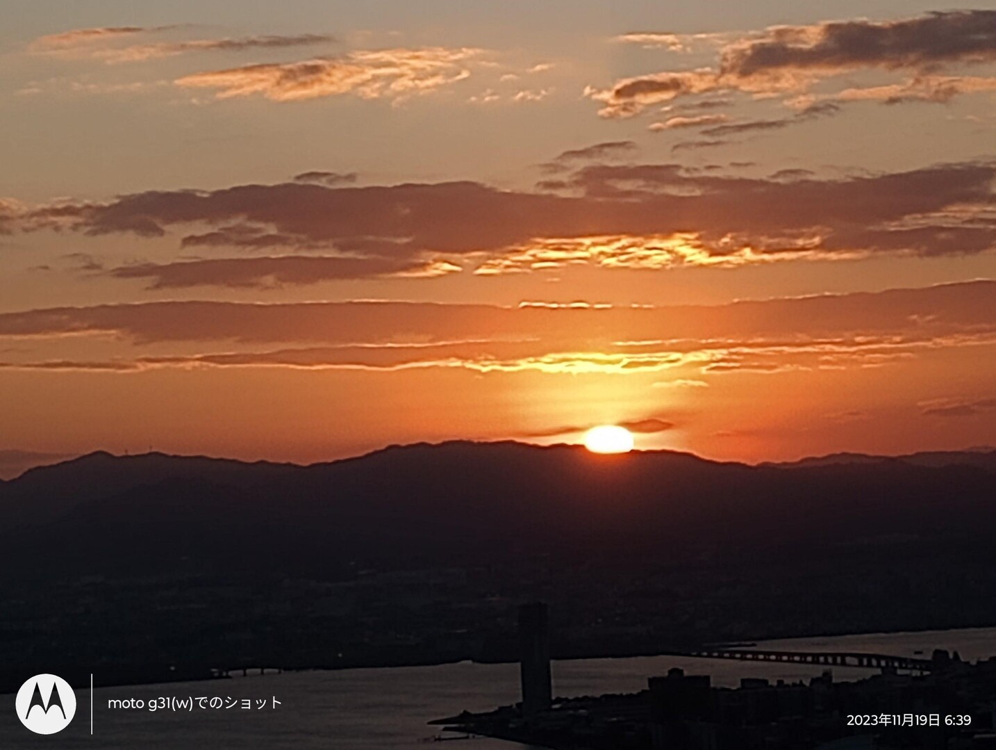 出ました 99点の高得点です / ふぁんきー.kix さんの京都一周トレイルの活動データ | YAMAP / ヤマップ