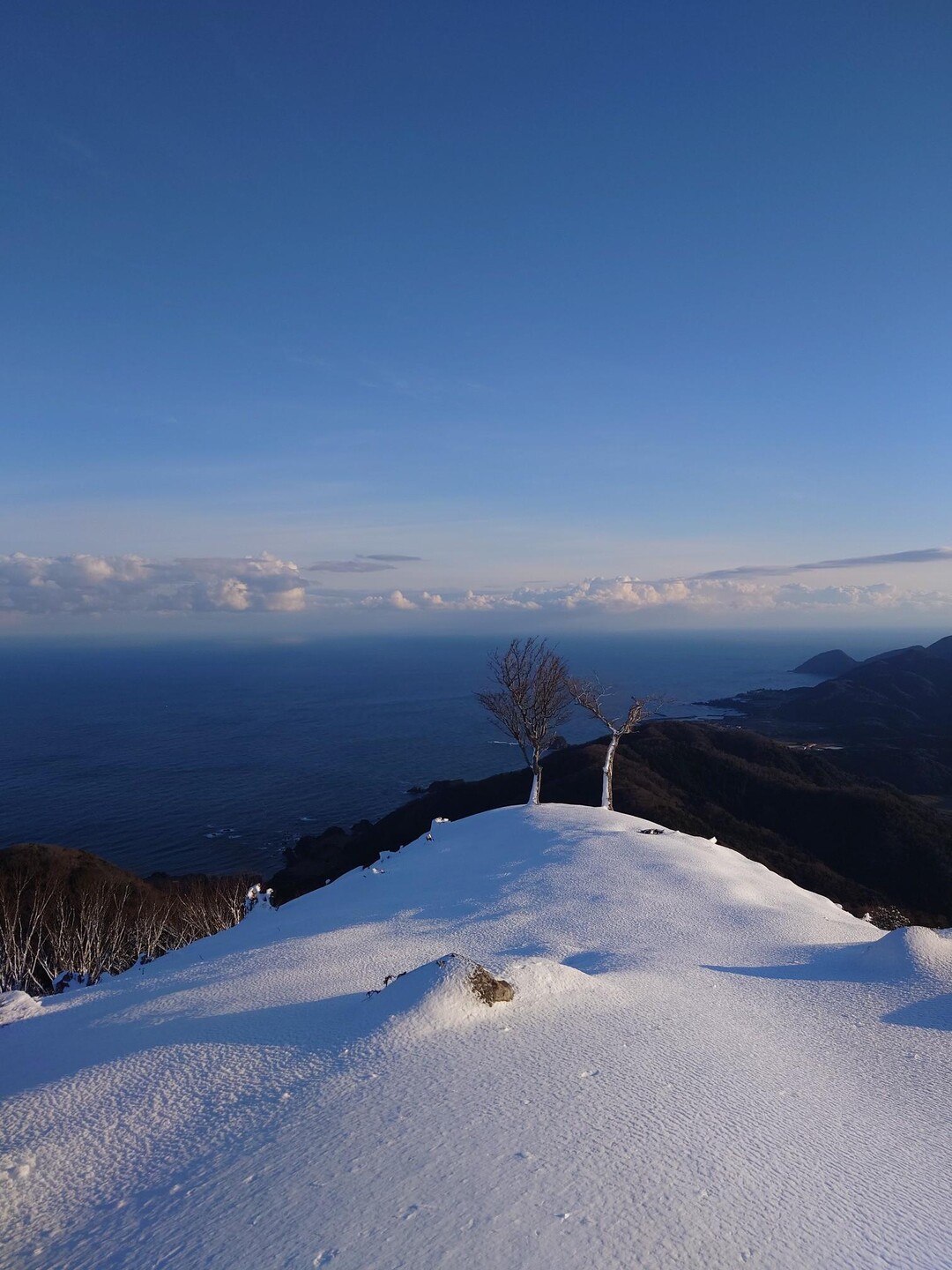 依遅ヶ尾山 / palさんの依遅ヶ尾山の活動データ | YAMAP / ヤマップ