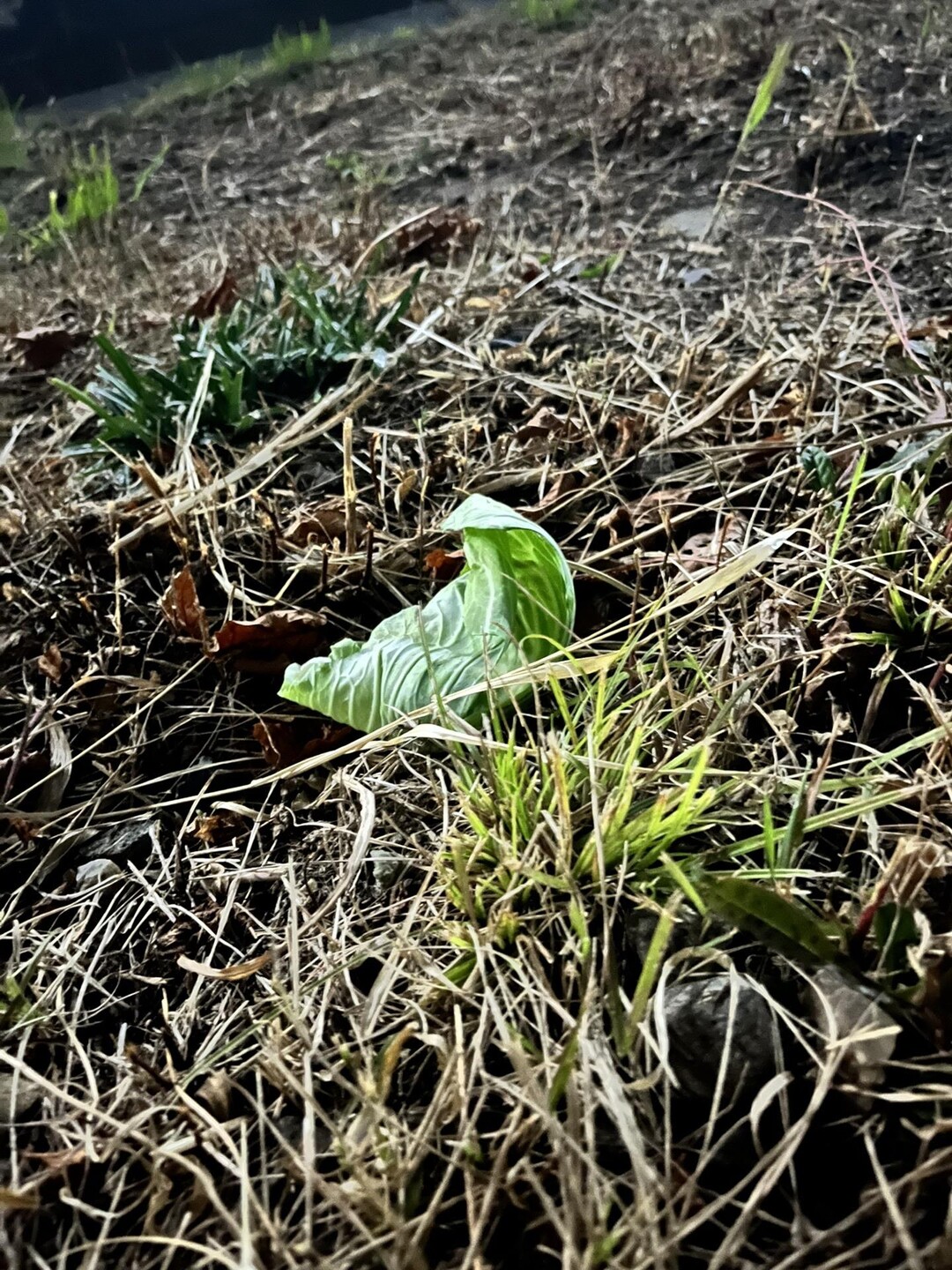 It's time to farewel... / junnnnさんのモーメント | YAMAP / ヤマップ