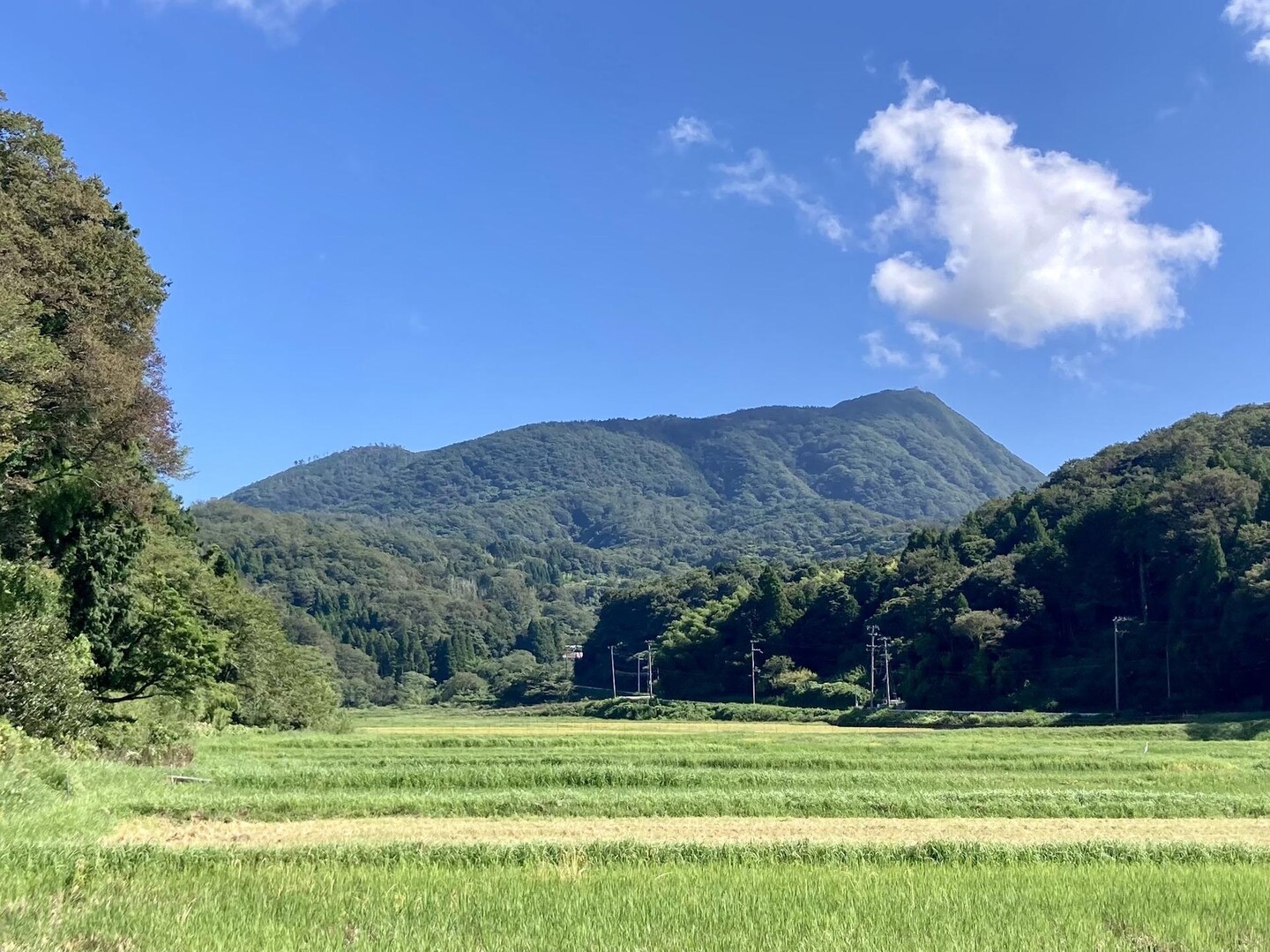 依遅ヶ尾山 / PB-4さんの依遅ヶ尾山の活動データ | YAMAP / ヤマップ