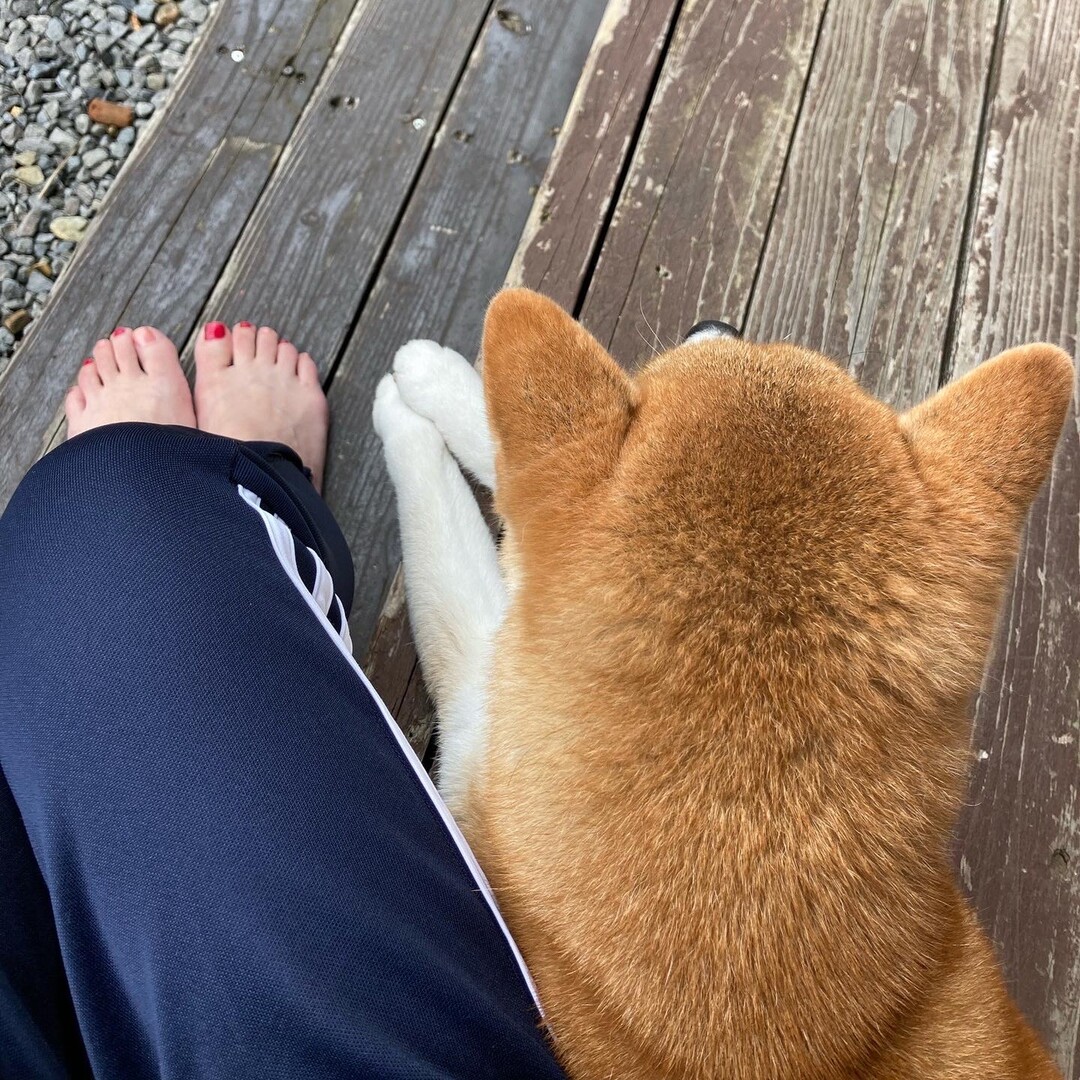 2021.11.14 天気がいまいちなの... / junko(☝ ՞ਊ ՞)☝CKBさんのモーメント | YAMAP / ヤマップ