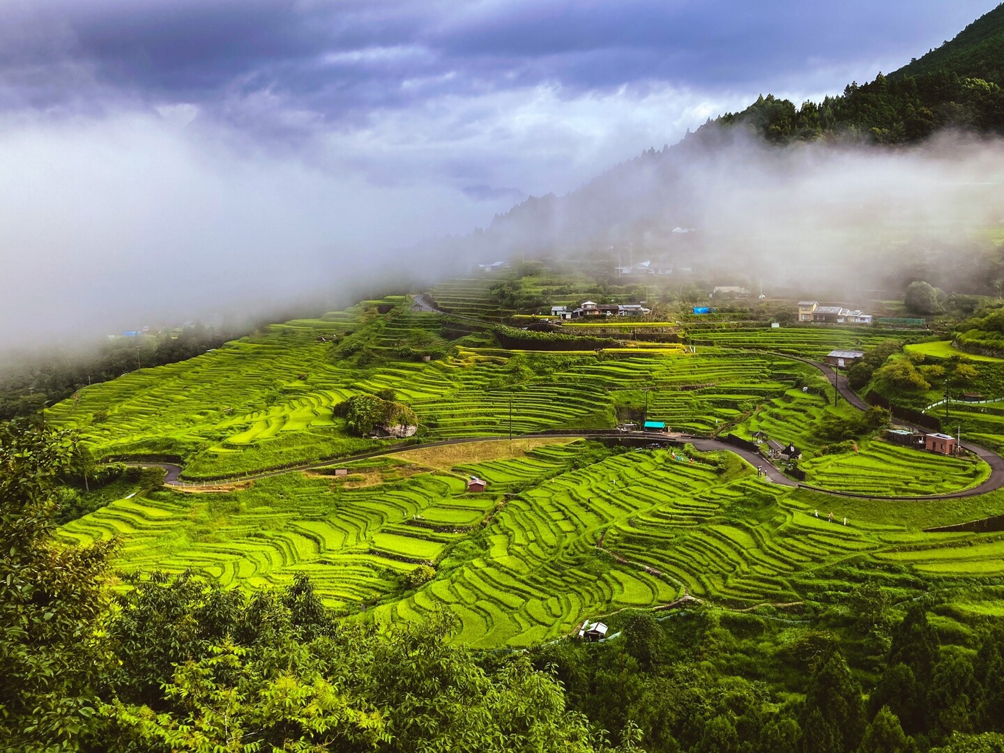 丸山千枚田⭐️湿度120% 早朝に訪れ... / okinjoさんのモーメント | YAMAP / ヤマップ