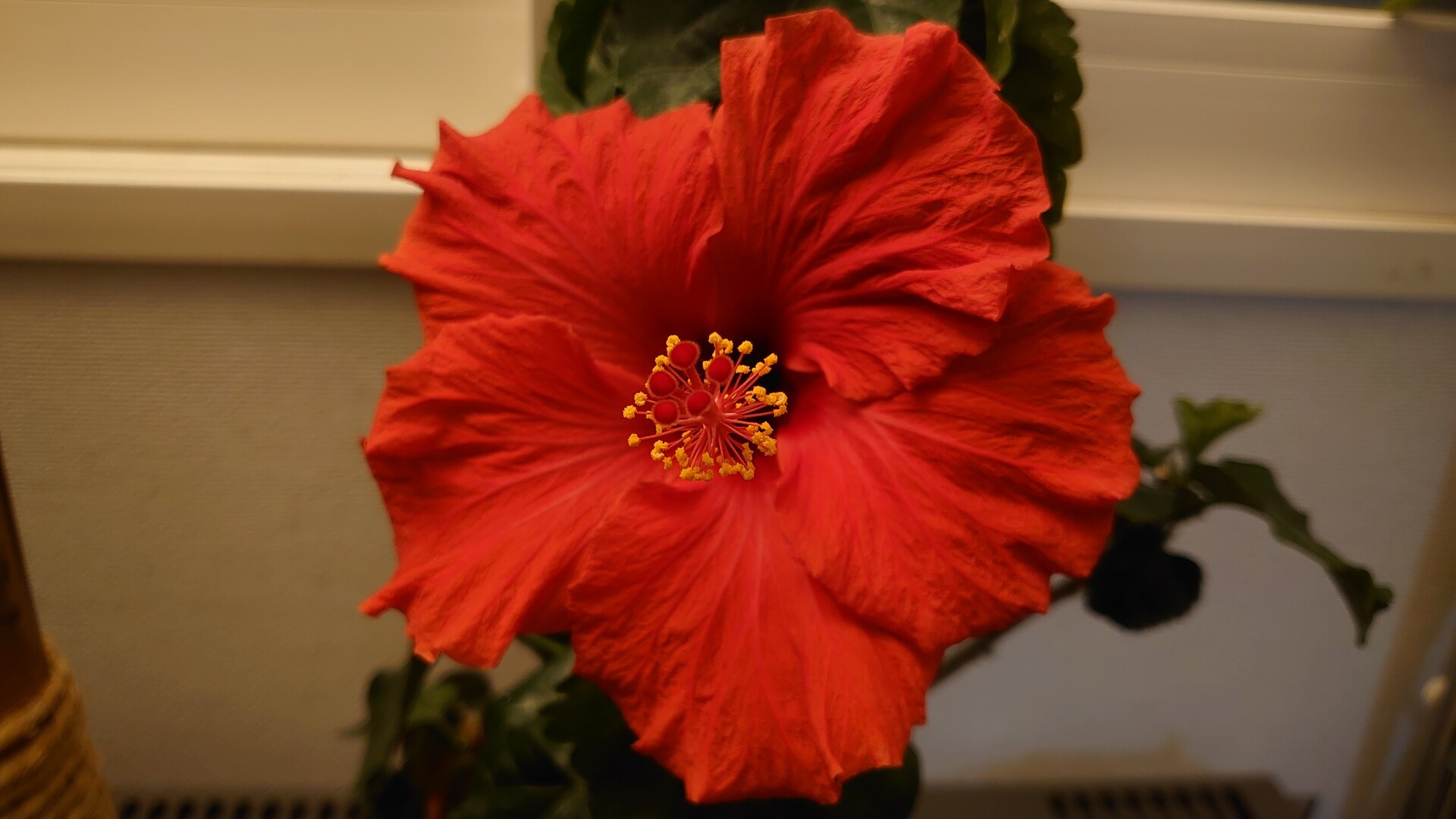 皆様にとって癒やしのひとときとなりますよ... / cycle-akkoさんのモーメント | YAMAP / ヤマップ