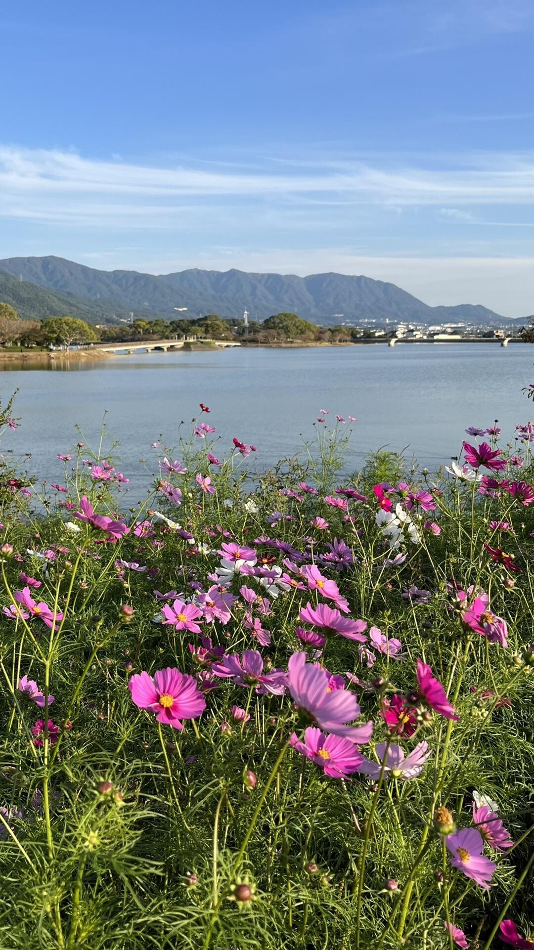 秋の穏やかウォーキング。 / hirajunさんのモーメント | YAMAP / ヤマップ