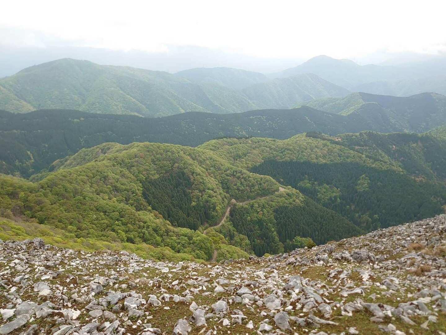 霊仙山〜経塚山 周回 / hana0910さんの霊仙山の活動データ | YAMAP / ヤマップ