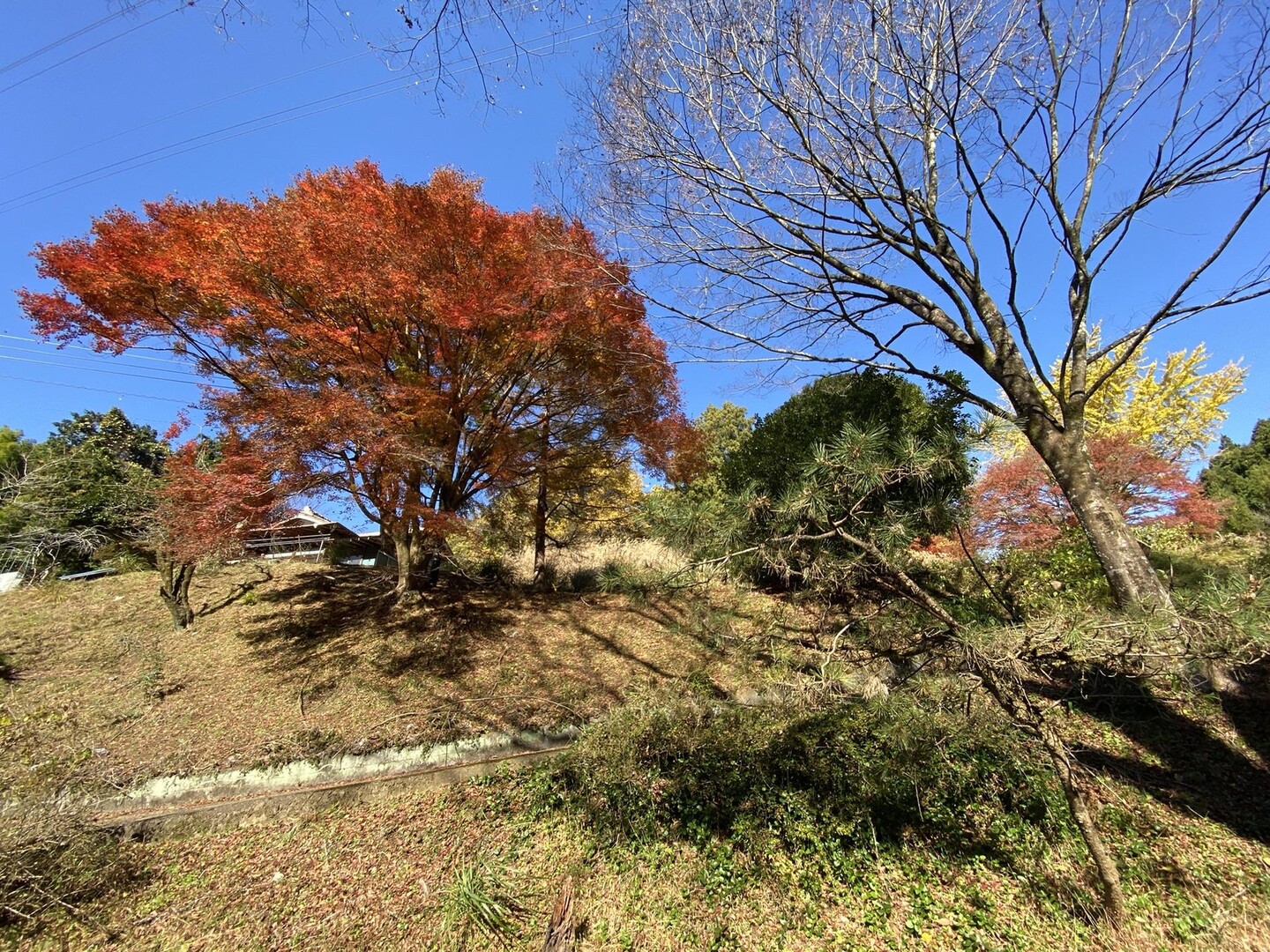 里山ハイキング 松田山 / tosiさんの高松山・大野山の活動データ | YAMAP / ヤマップ