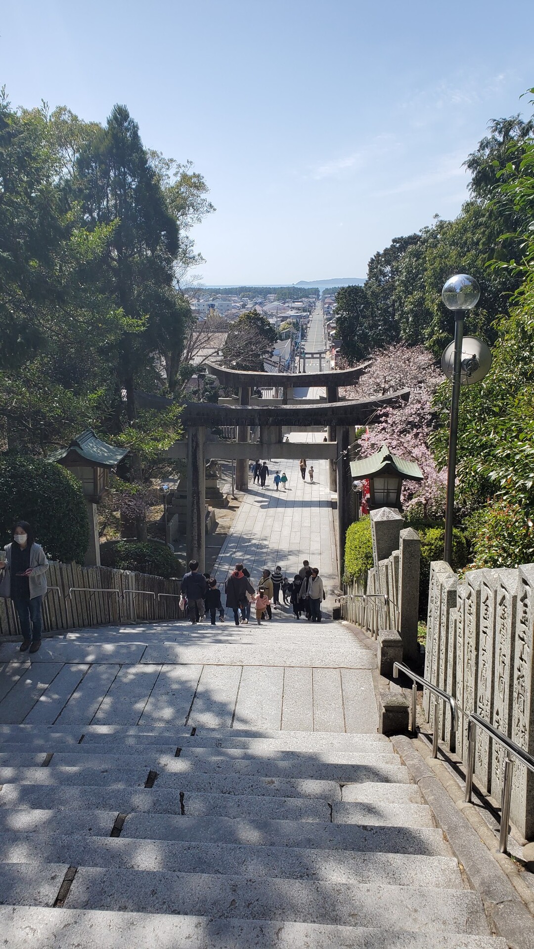 宮地嶽神社、宮地山をウォーキング サクラ... / あおまめさんのモーメント | YAMAP / ヤマップ