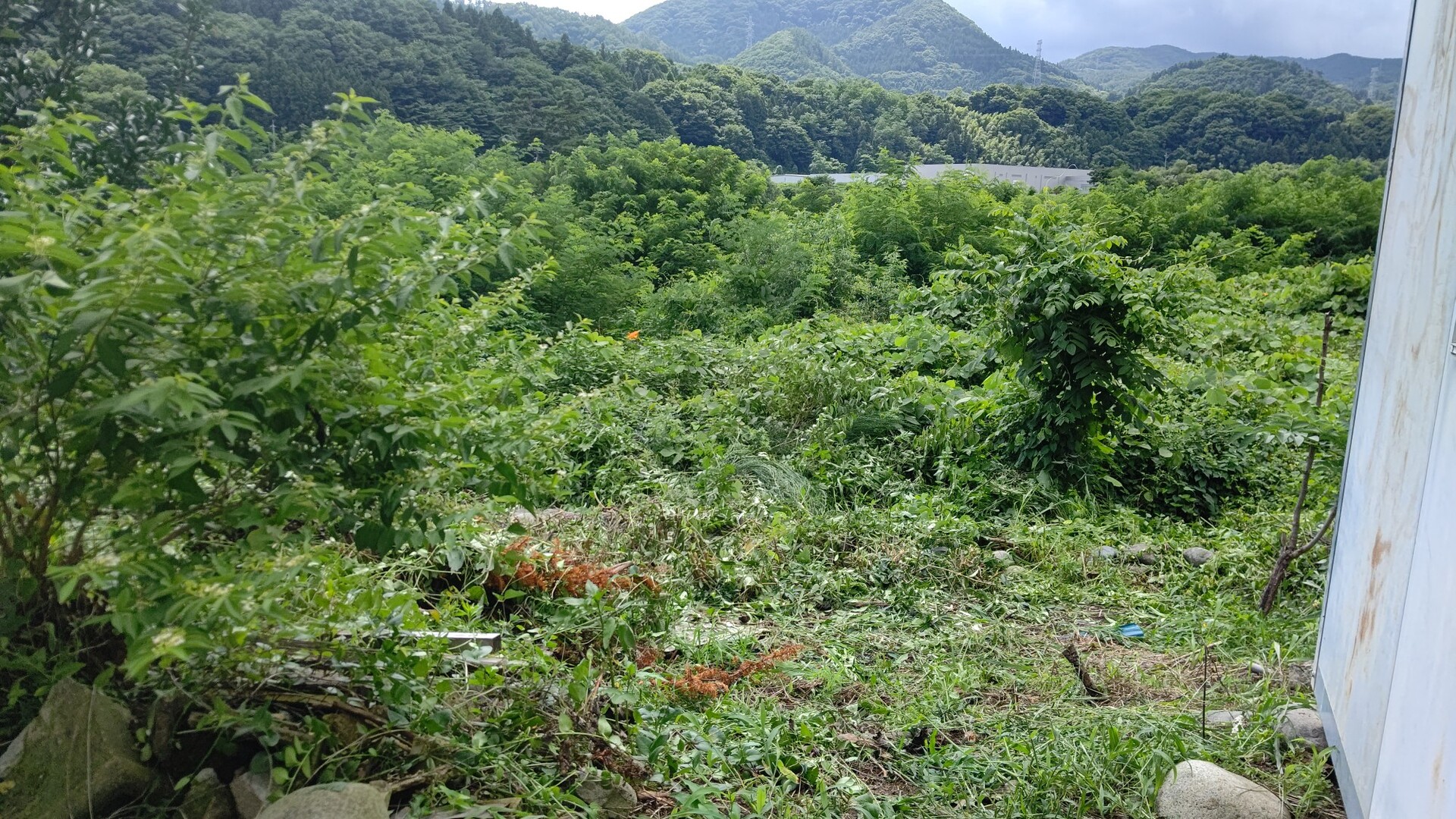 草刈り完了😅 それにしても暑い😅 / ぶんたさんのモーメント | YAMAP / ヤマップ