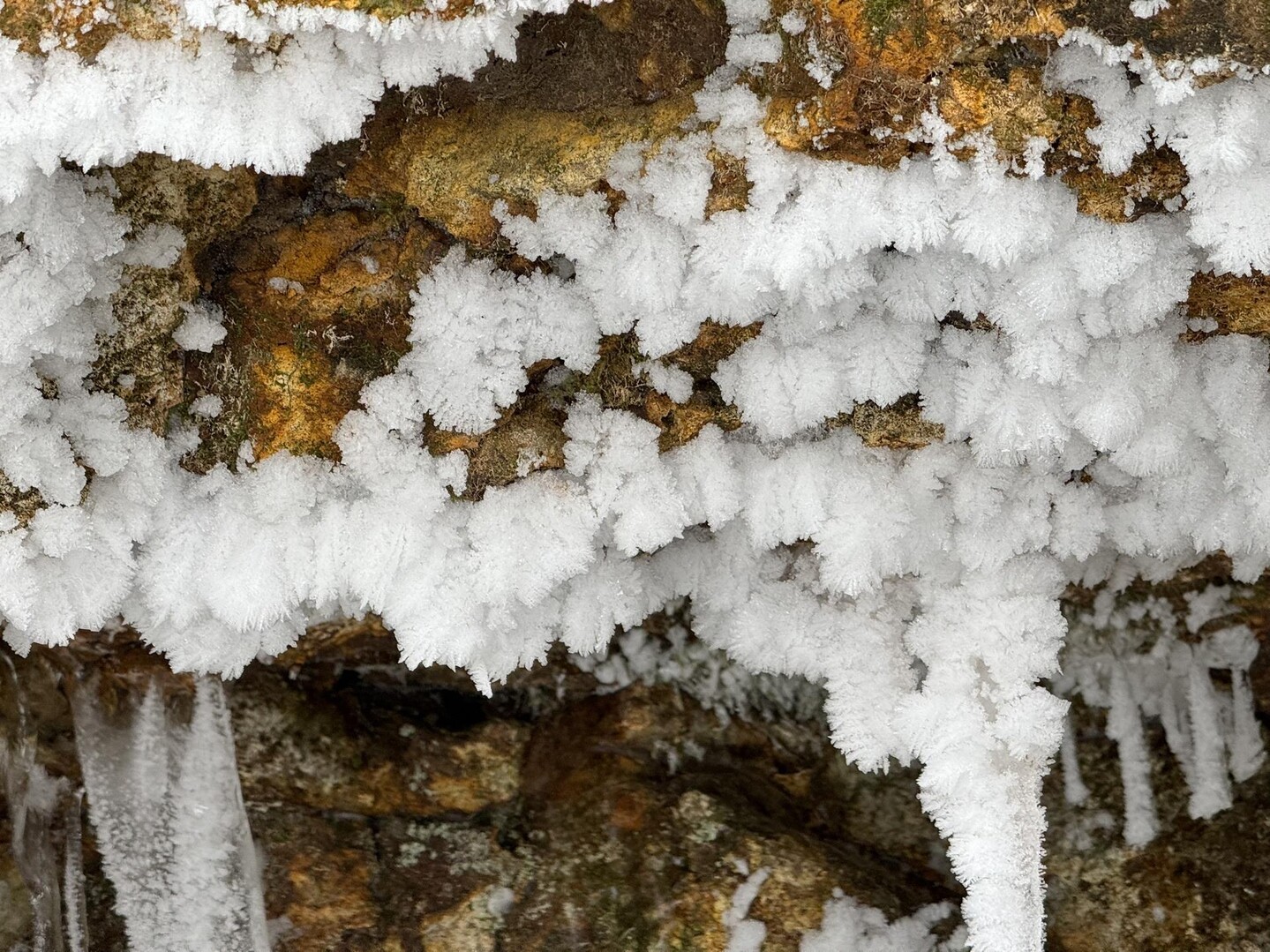ムーミンダニへ / shinshinさんの徳舜瞥山・ホロホロ山の活動データ | YAMAP / ヤマップ