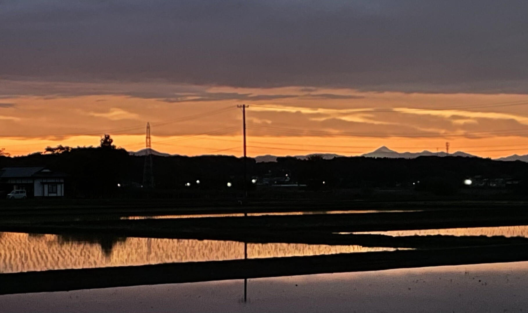 近所の田んぼから、カエルの声🐸🐸🐸... / cobalt さんのモーメント | YAMAP / ヤマップ
