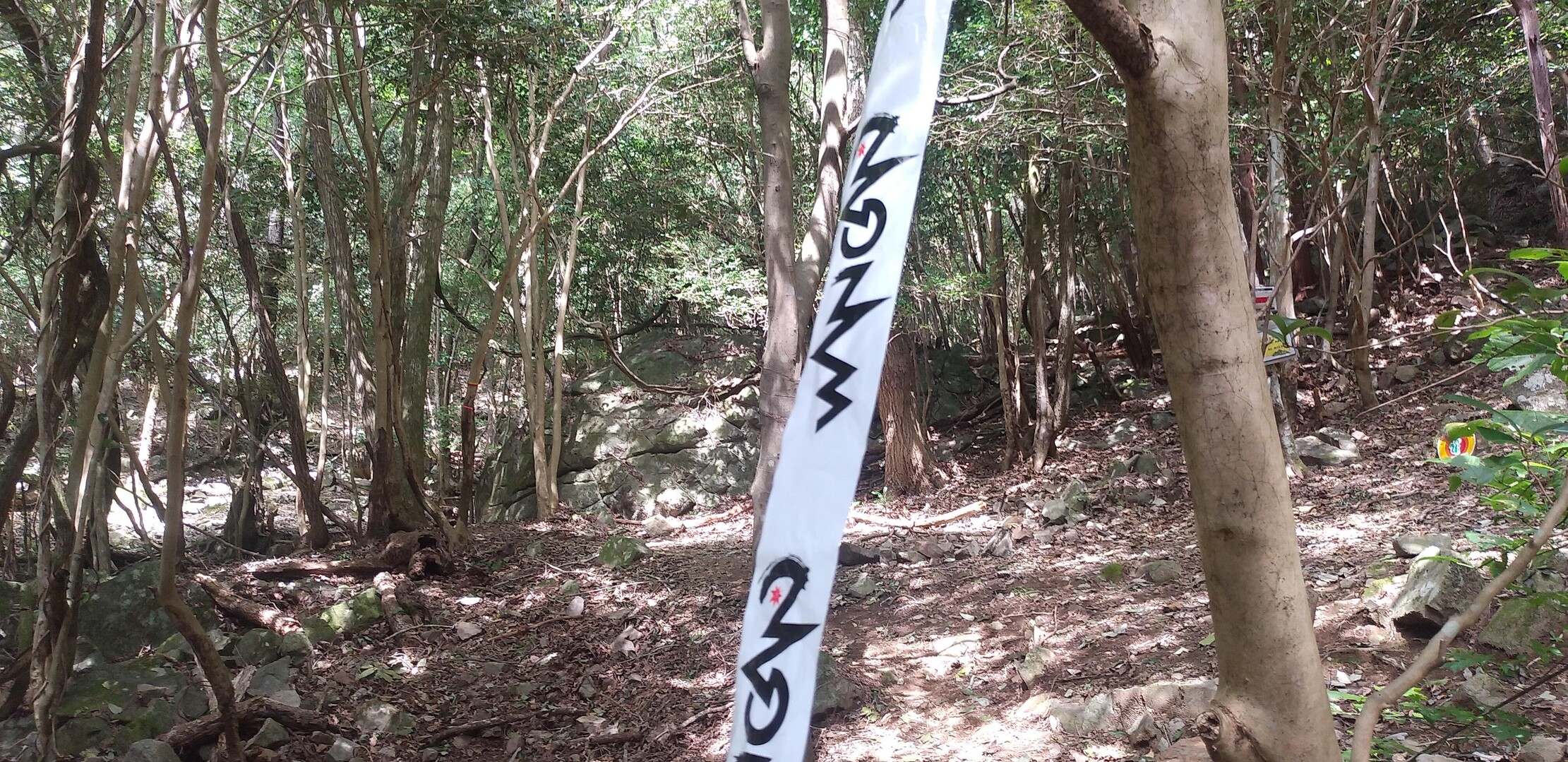 湾岸トレイル(上深川→大林) / utahさんの白木山・高松山・鬼ヶ城山の活動データ | YAMAP / ヤマップ