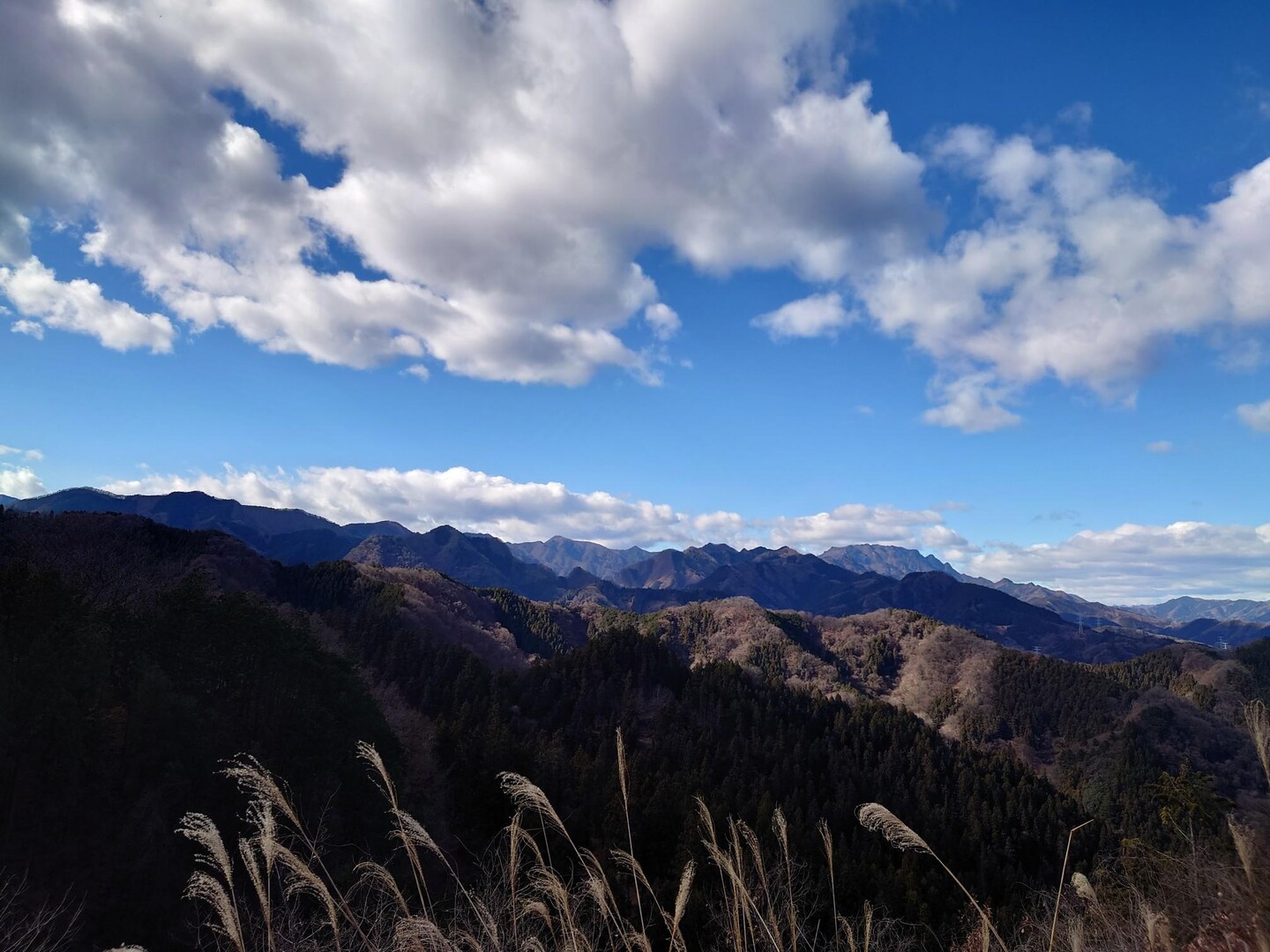 小鹿野アルプス縦走(IN 松井田BS OUT 松井田BS) / 登山バカ一代さんの小鹿野アルプス・釜ノ沢五峰・般若山の活動日記 | YAMAP / ヤマップ