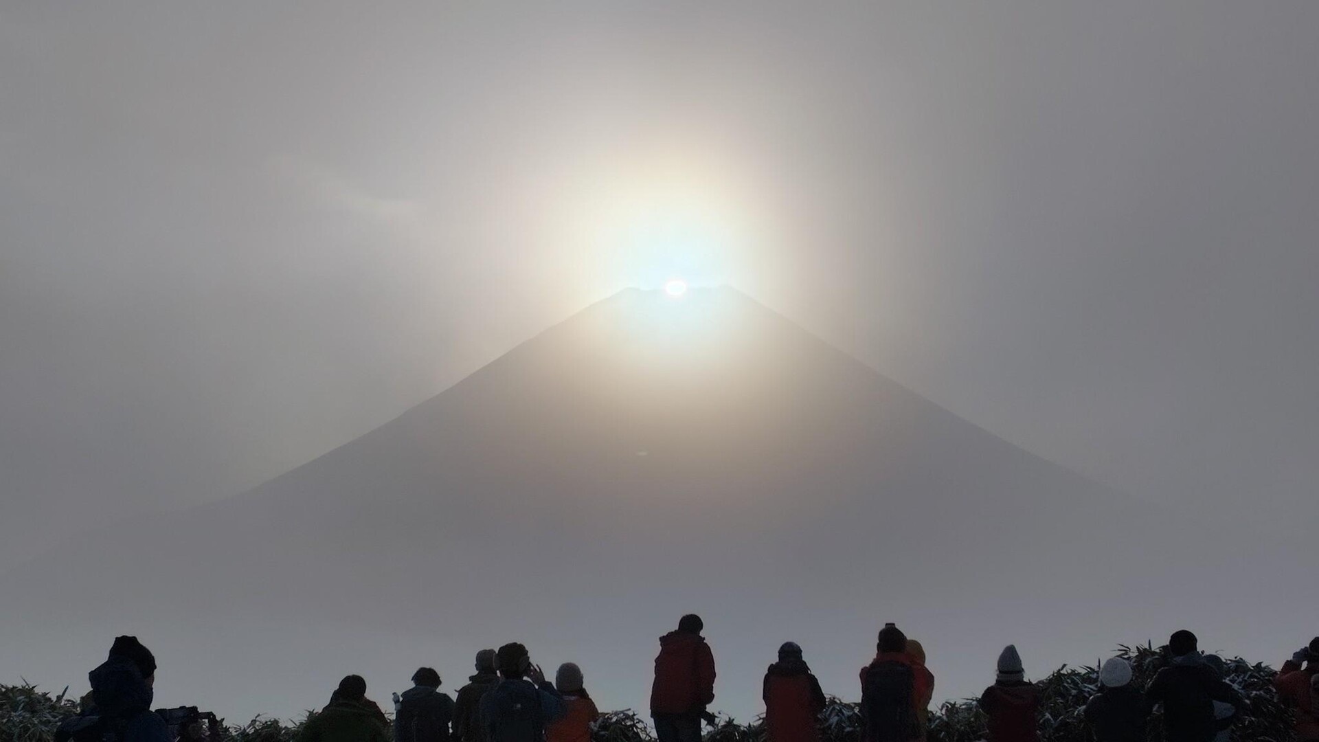 竜ヶ岳 / KABUさんの毛無山・雨ヶ岳・竜ヶ岳の活動日記 | YAMAP / ヤマップ