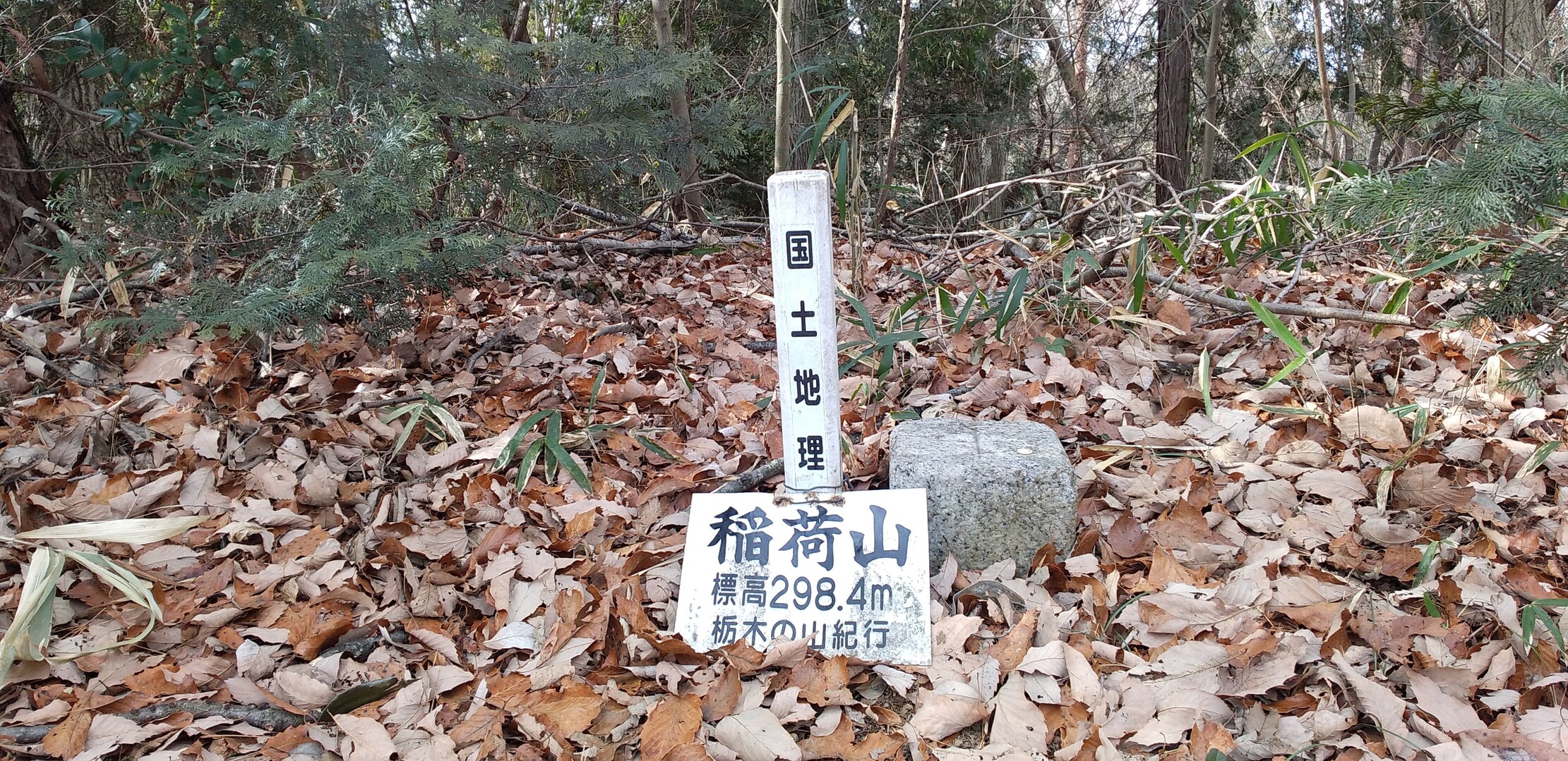 U.Dさんの投稿したフィールドメモ | YAMAP / ヤマップ