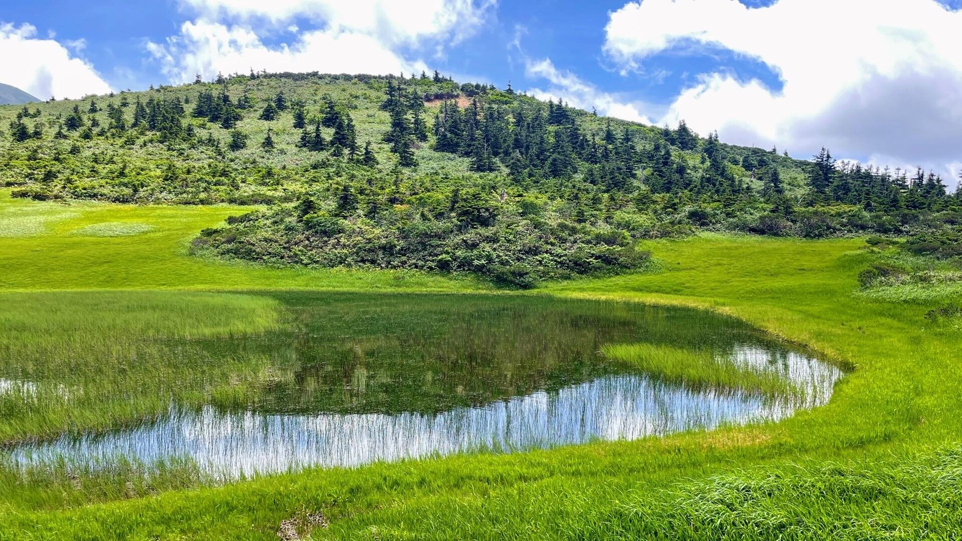 八甲田山（大岳）・井戸岳・赤倉岳・田茂萢岳 たもやち🦛 ︎ / nepukoさんの八甲田山・高田大岳・雛岳の活動データ | YAMAP / ヤマップ