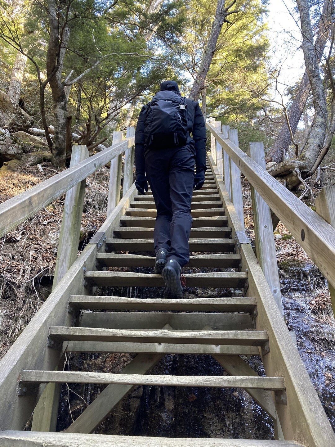 SAYAKAさんの投稿したフィールドメモ | YAMAP / ヤマップ