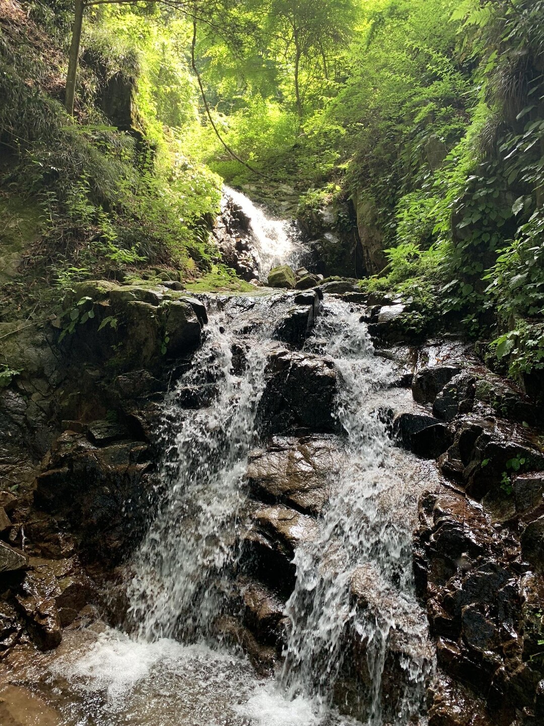 東お多福山・六甲山からの大冒険！ / paoさんの六甲山・長峰山・摩耶山の活動データ | YAMAP / ヤマップ