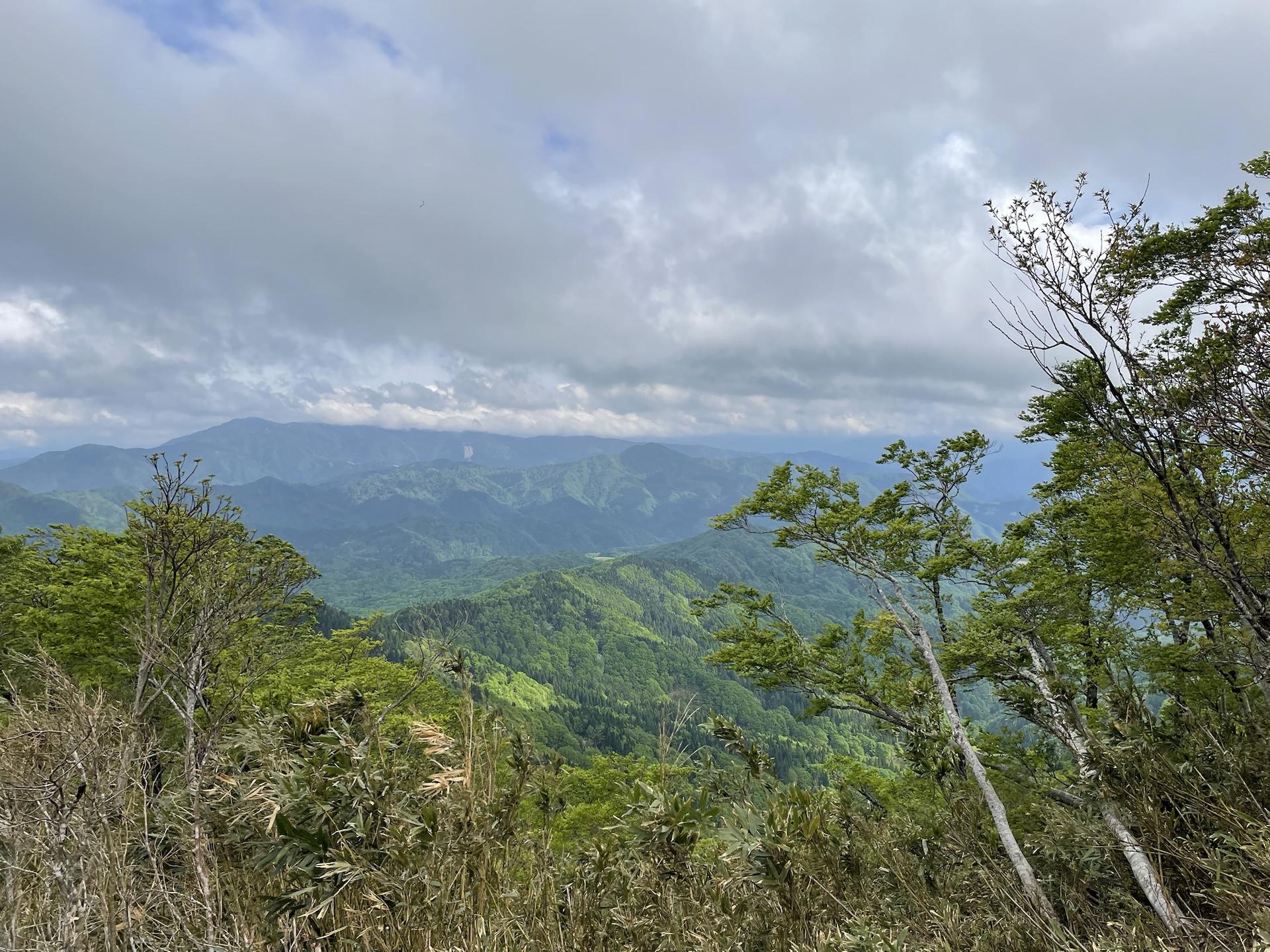 小ヅッコ・大ヅッコ・扇ノ山 / nakatan.htさんの扇ノ山の活動データ | YAMAP / ヤマップ