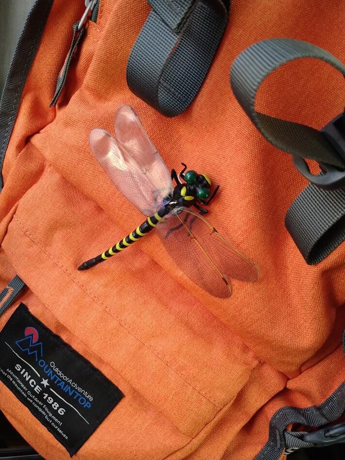 NINのページ | YAMAP / ヤマップ