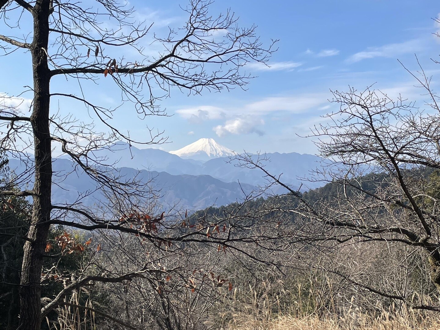 youtuberぷんやま様と 、視聴者Kii様と周る高尾⛰ハートルート / こふさんの高尾山・陣馬山・景信山の活動データ | YAMAP / ヤマップ