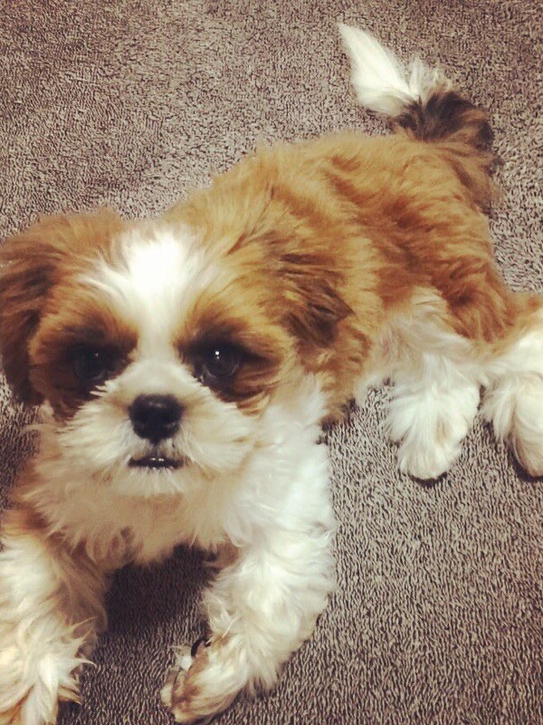 s0316kのページ | YAMAP / ヤマップ