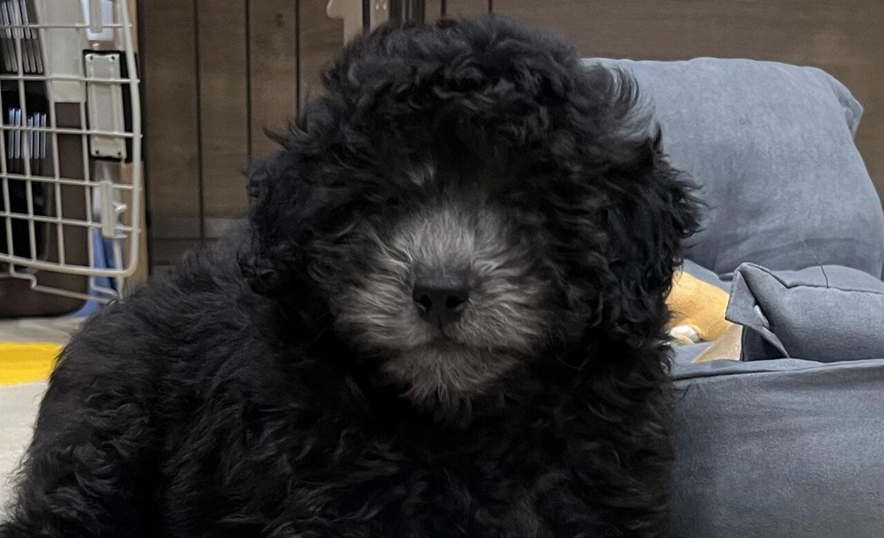 Kdのページ | YAMAP / ヤマップ