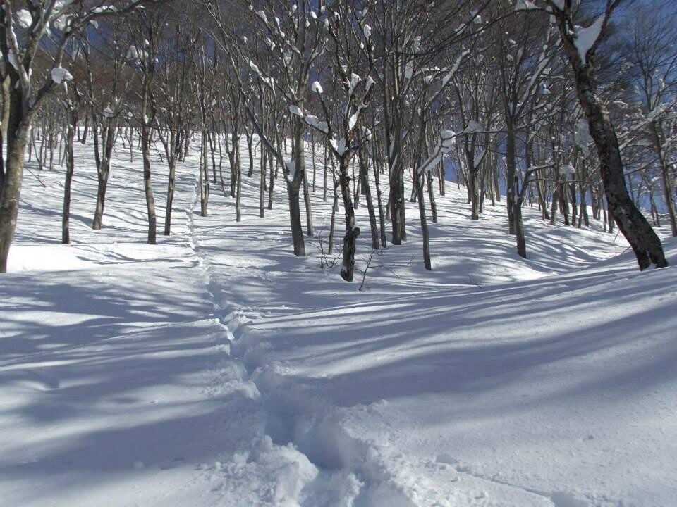 医王山、ダオ坂下り。 過去のものから抜粋... / SMさんのモーメント | YAMAP / ヤマップ