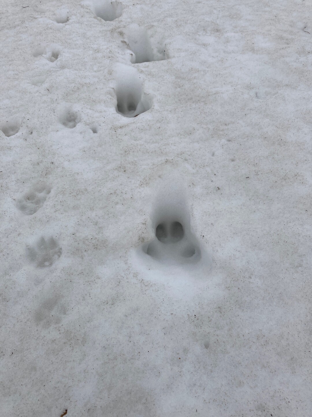 ISAさんの投稿したフィールドメモ | YAMAP / ヤマップ