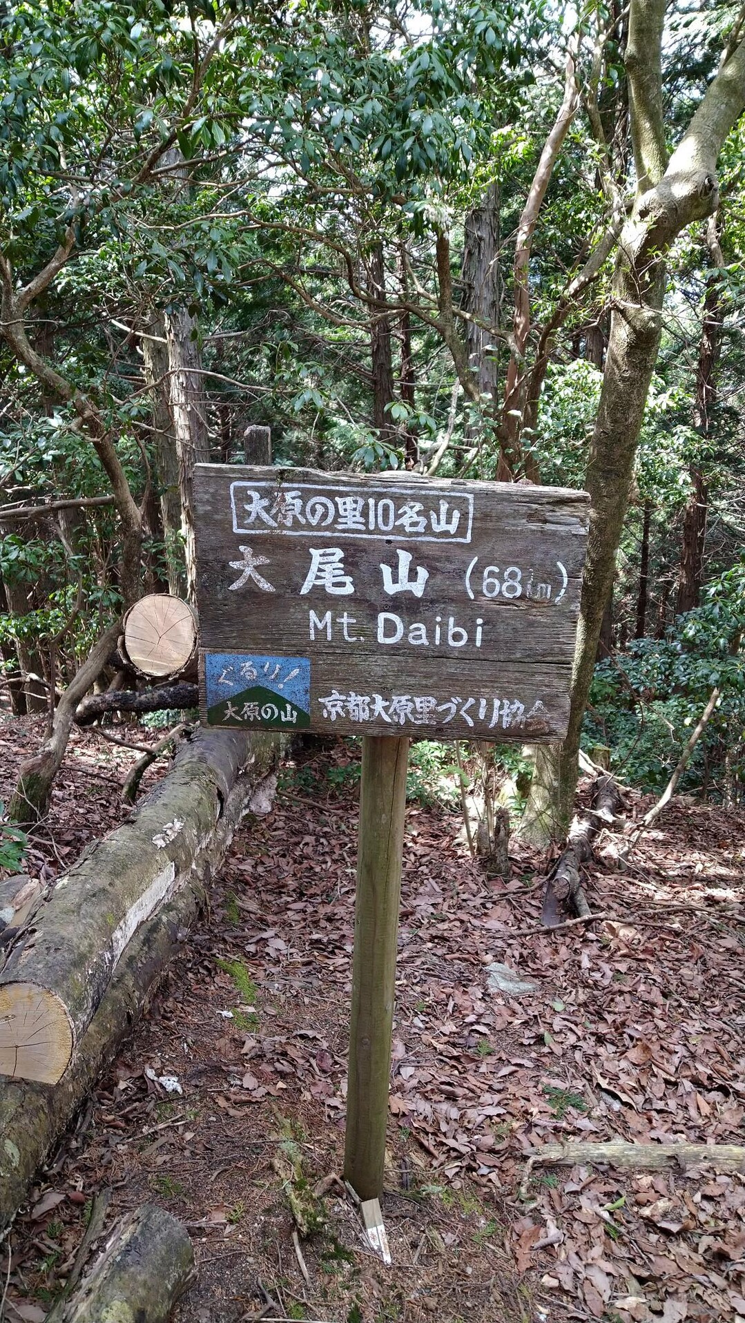 横高山・水井山・小野山・梶山 / misoyanさんの比叡山・横高山・梶山の活動データ | YAMAP / ヤマップ