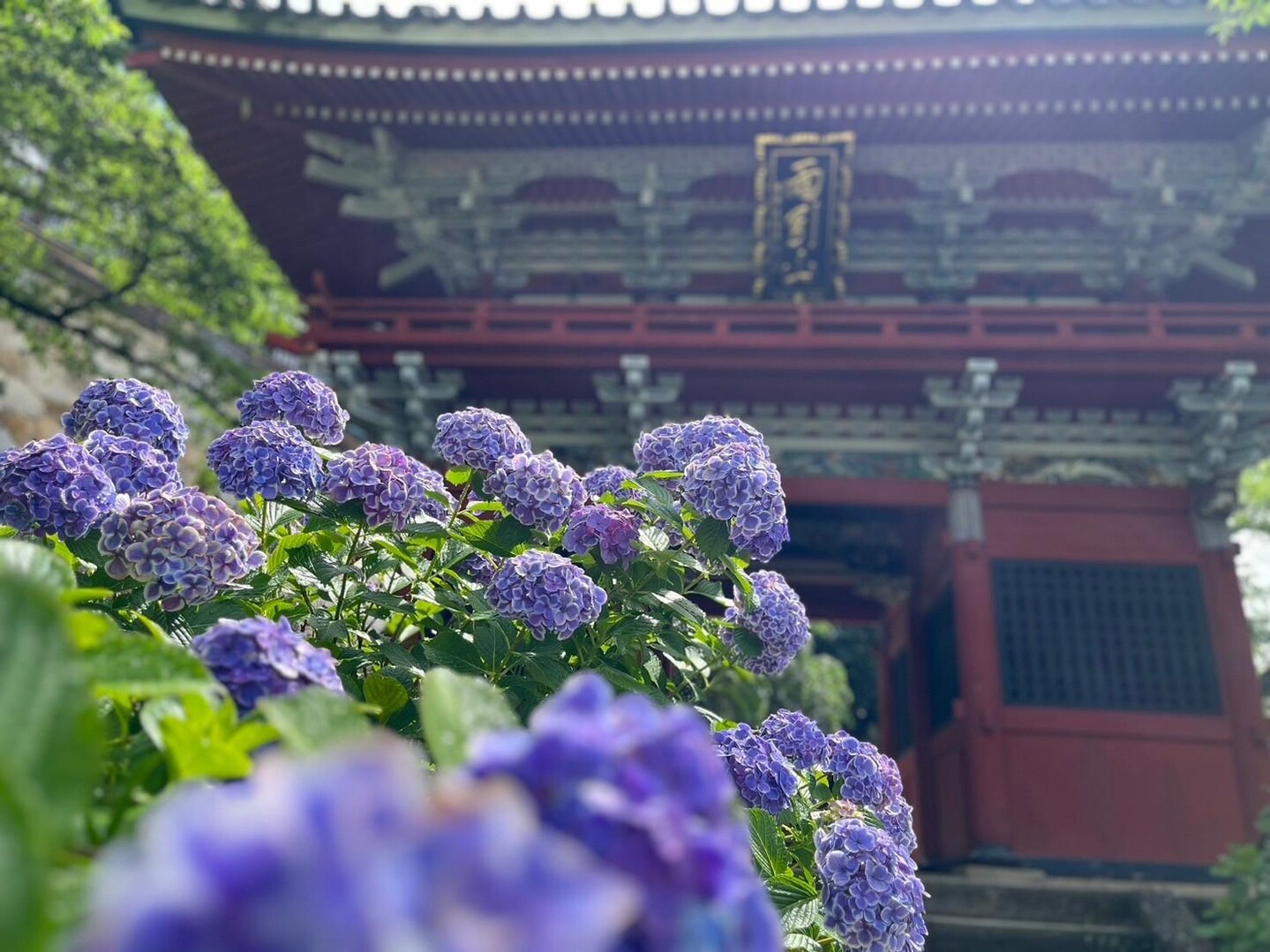 筑波山（女体山）・雨引観音・五所駒瀧神社 / KO-HEIさんの筑波山の活動データ | YAMAP / ヤマップ