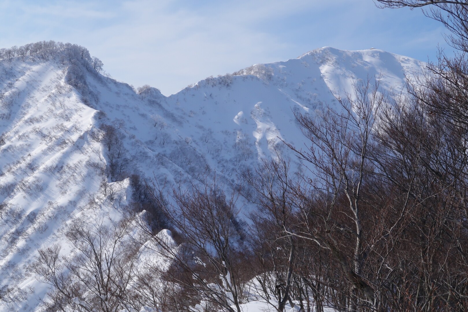 あつまれ変態の森ww / シゲラッチョさんの米山の活動日記 | YAMAP / ヤマップ