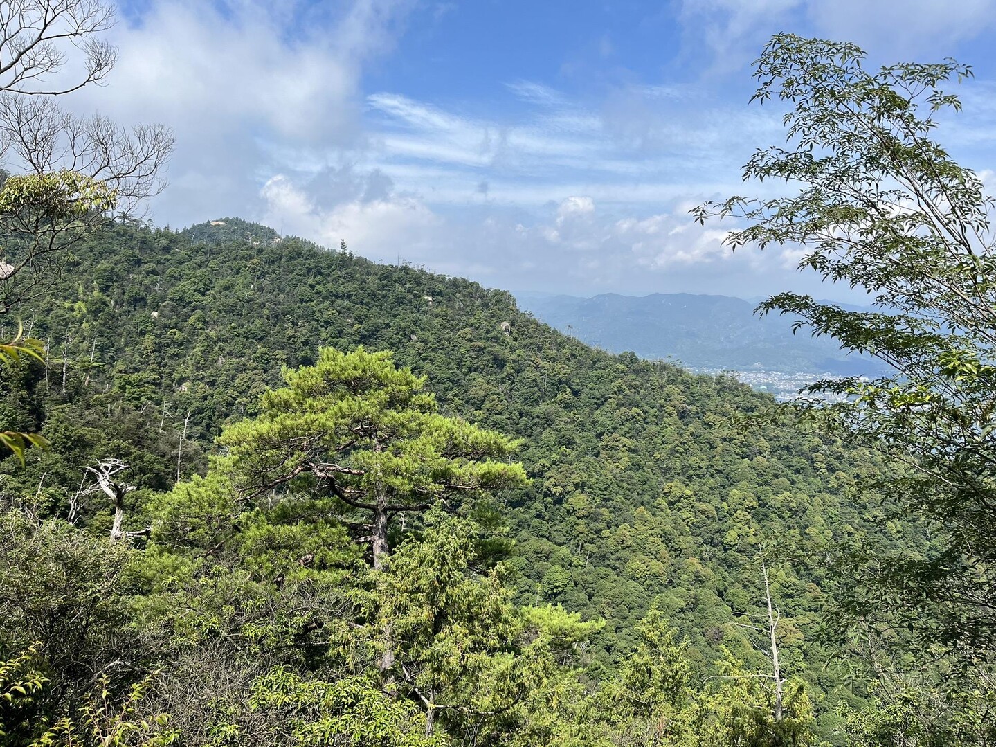 リハビリ 弥山・駒ヶ林・三剣山・要害山 / TOP ROPE さんの宮島（厳島）・弥山の活動データ | YAMAP / ヤマップ