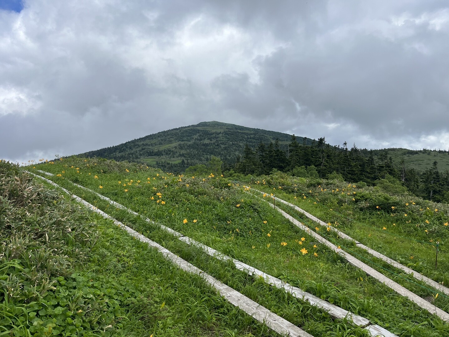 森吉山~山頂でヤマメシを~ / shunさんの森吉山の活動データ | YAMAP / ヤマップ