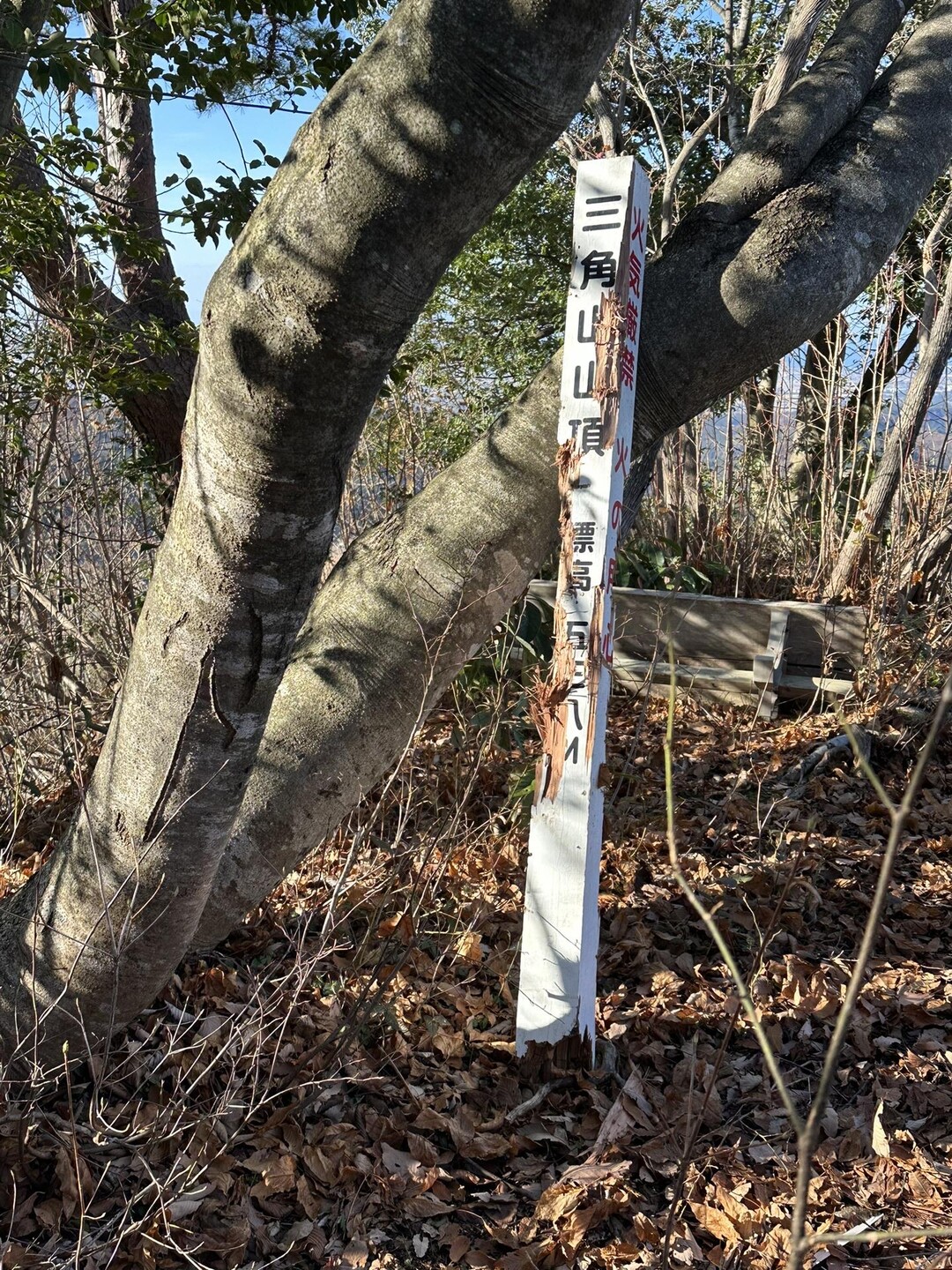 三角山 / kakoさんの千石城山の活動データ | YAMAP / ヤマップ