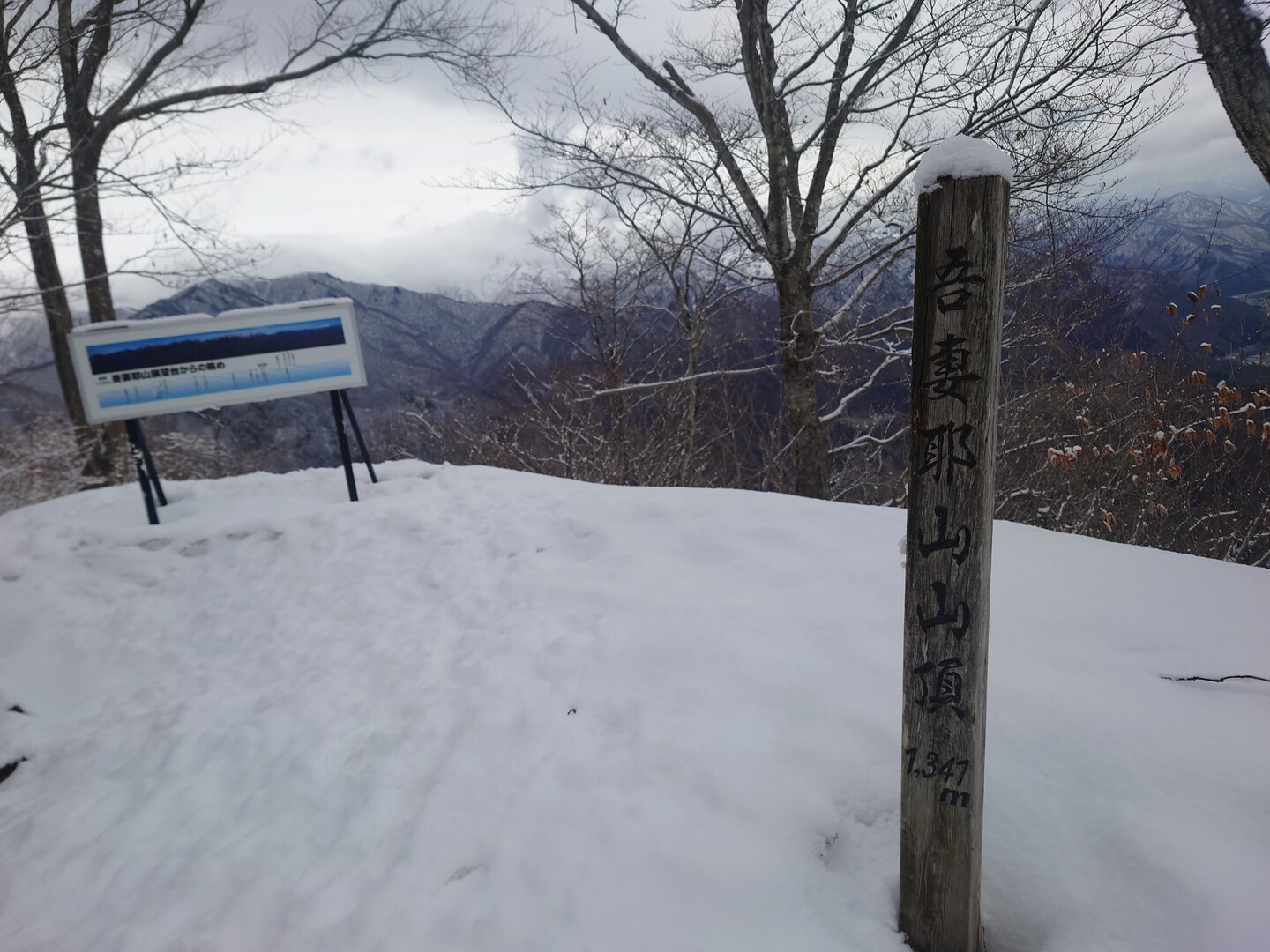 吾妻耶山6km / きんちゃんさんの吾妻耶山・大峰山の活動日記 | YAMAP / ヤマップ