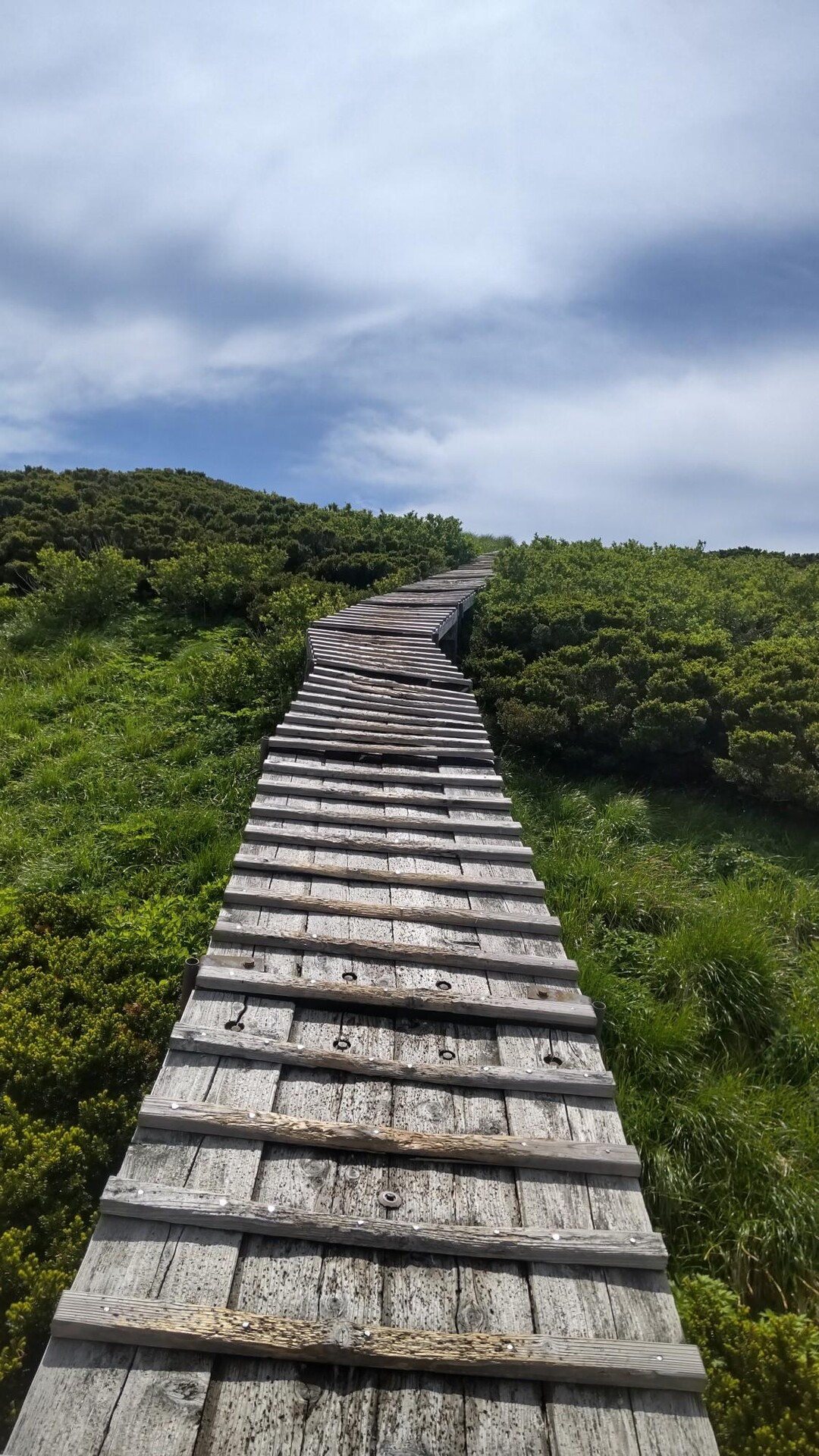 大山（弥山）そしておまけの三鈷峰・象ヶ鼻 / kamiさんの大山・甲ヶ山・野田ヶ山の活動データ | YAMAP / ヤマップ