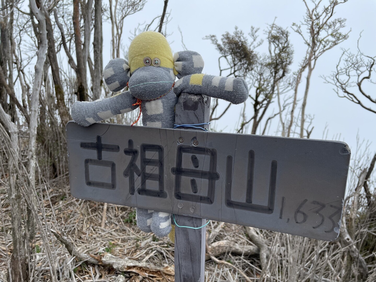 古祖母山 / kazukoさんの祖母山の活動データ | YAMAP / ヤマップ