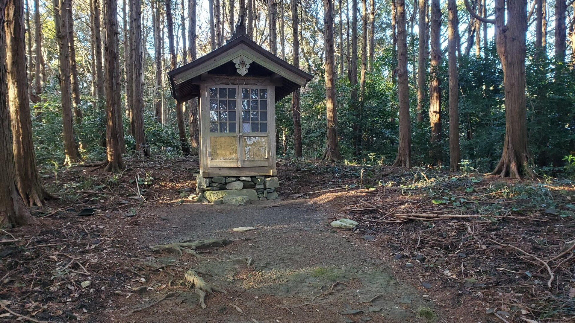 PHトレジョグ 彦山 / hirobonさんの彦山の活動日記 | YAMAP / ヤマップ