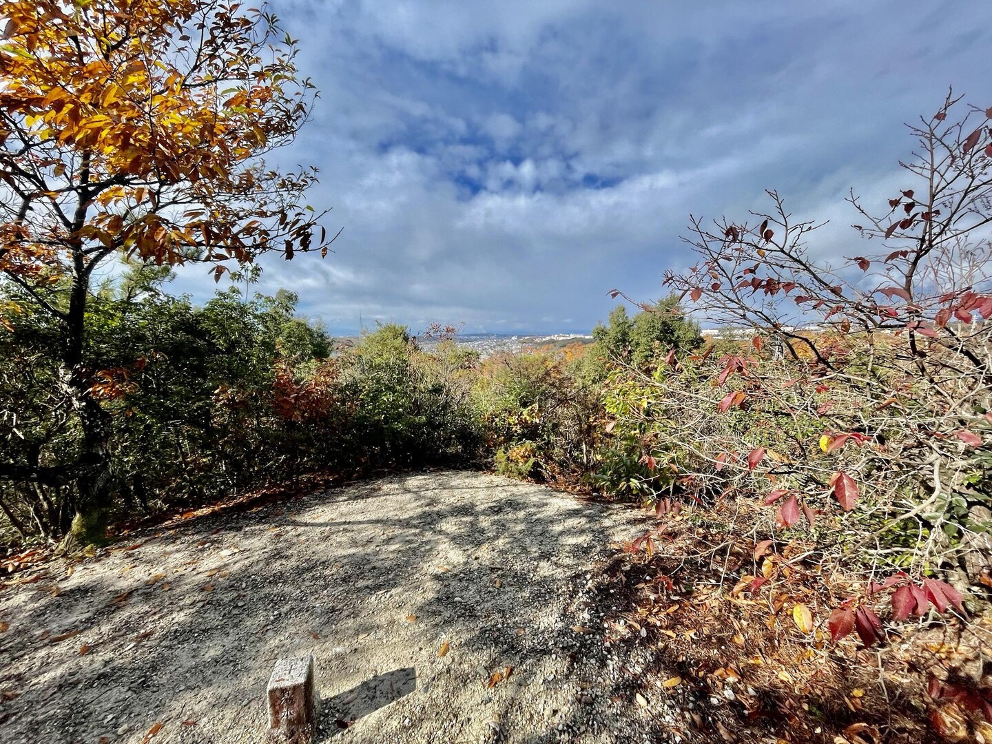 2年10ヶ月ぶりの猿投山 / Y45Uさんの猿投山・物見山の活動データ | YAMAP / ヤマップ