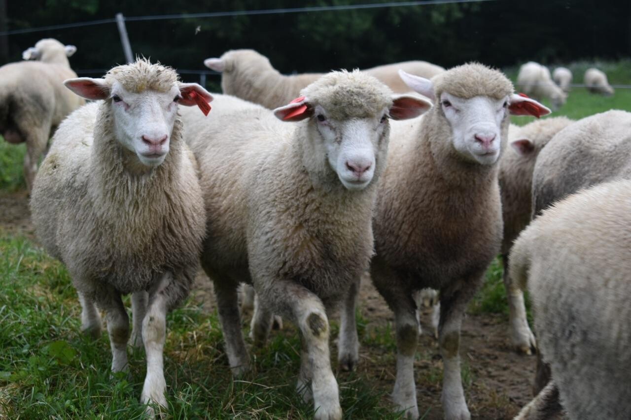 SUGAR BLUEのページ | YAMAP / ヤマップ