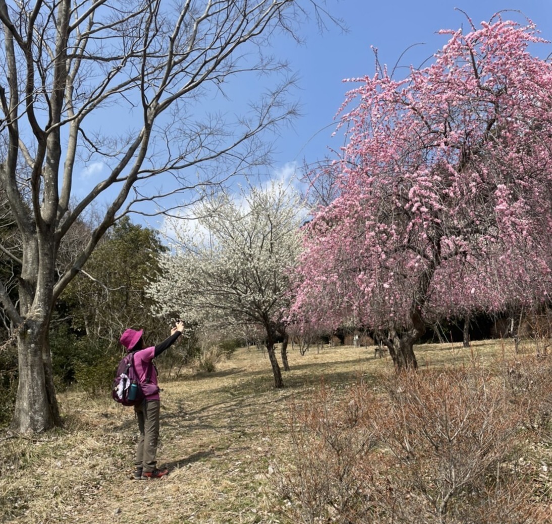 14歳孫娘ちゃんと多度山へ\(^-^)／... / yoshiko🌸さんのモーメント | YAMAP / ヤマップ