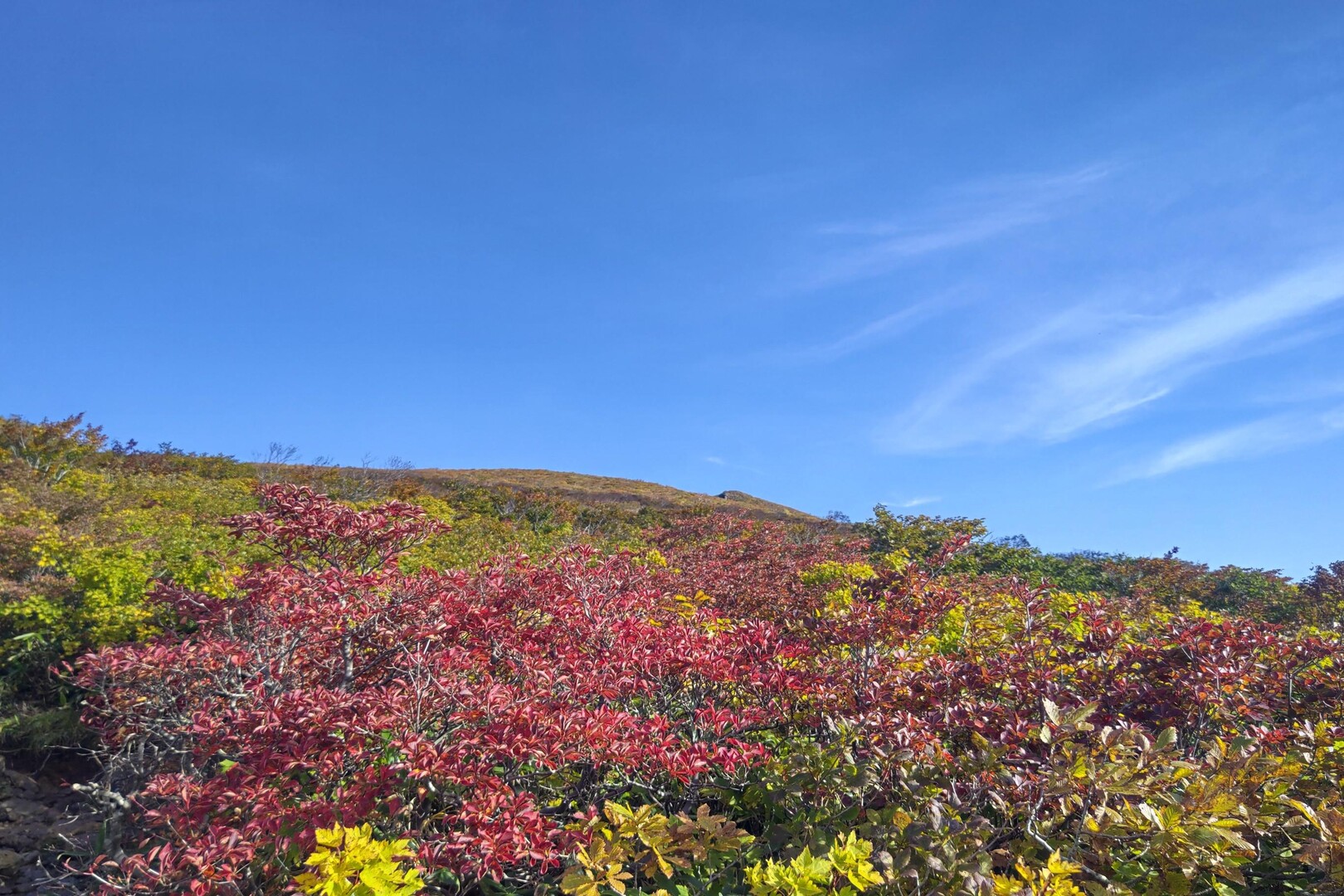 東栗駒山・栗駒山(須川岳) / Reoさんの栗駒山（須川岳）・秣岳・虚空蔵山の活動データ | YAMAP / ヤマップ