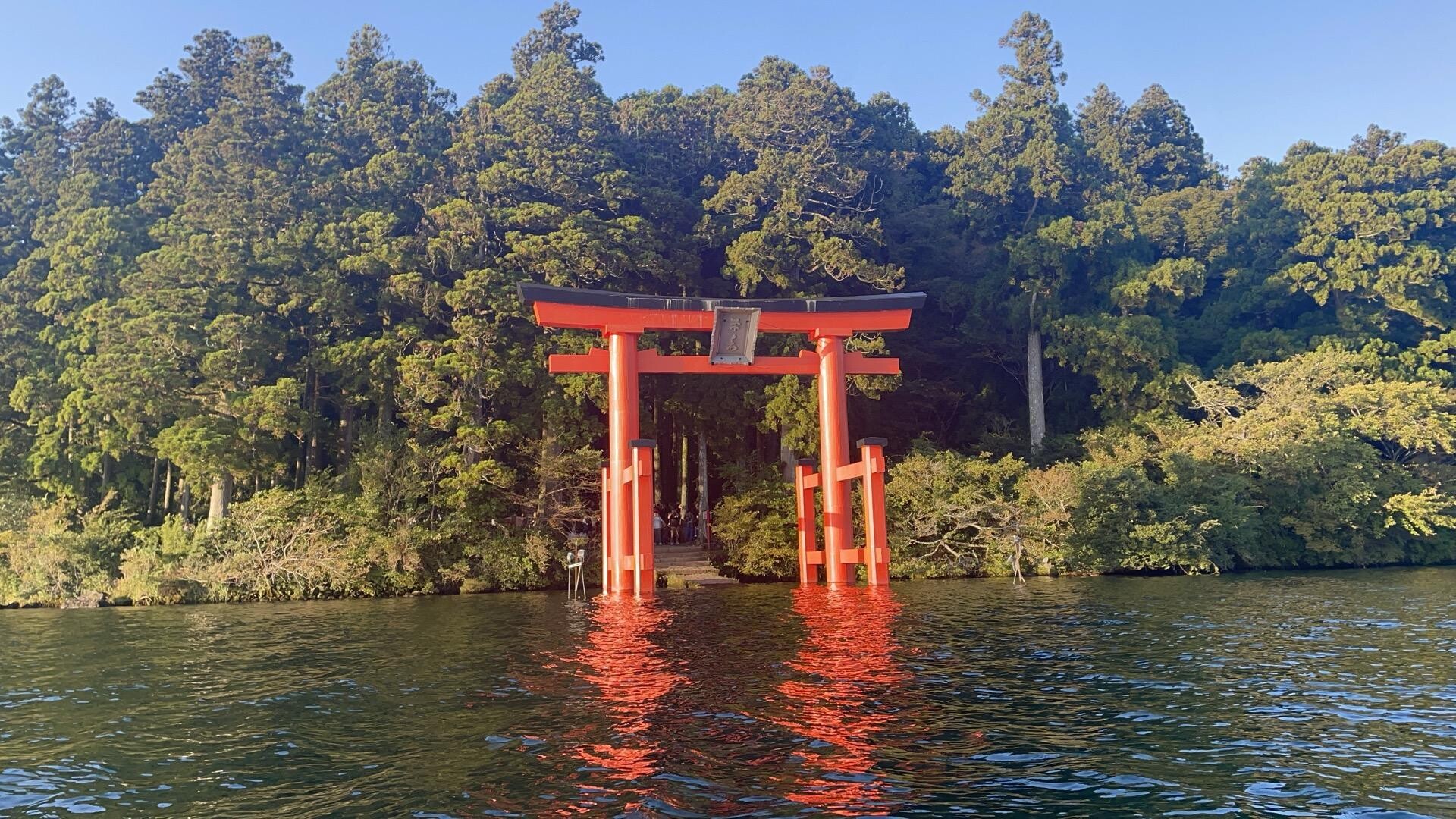 箱根旧街道 / Mioさんの箱根山・神山の活動データ | YAMAP / ヤマップ