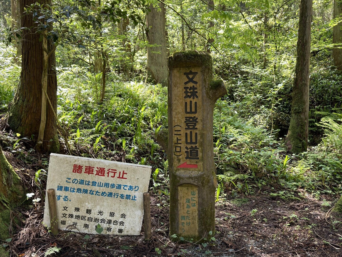 文殊山・文殊山（奥の院） 2024-5-2 リハビリ登山 / jt0450さんの文殊山の活動データ | YAMAP / ヤマップ