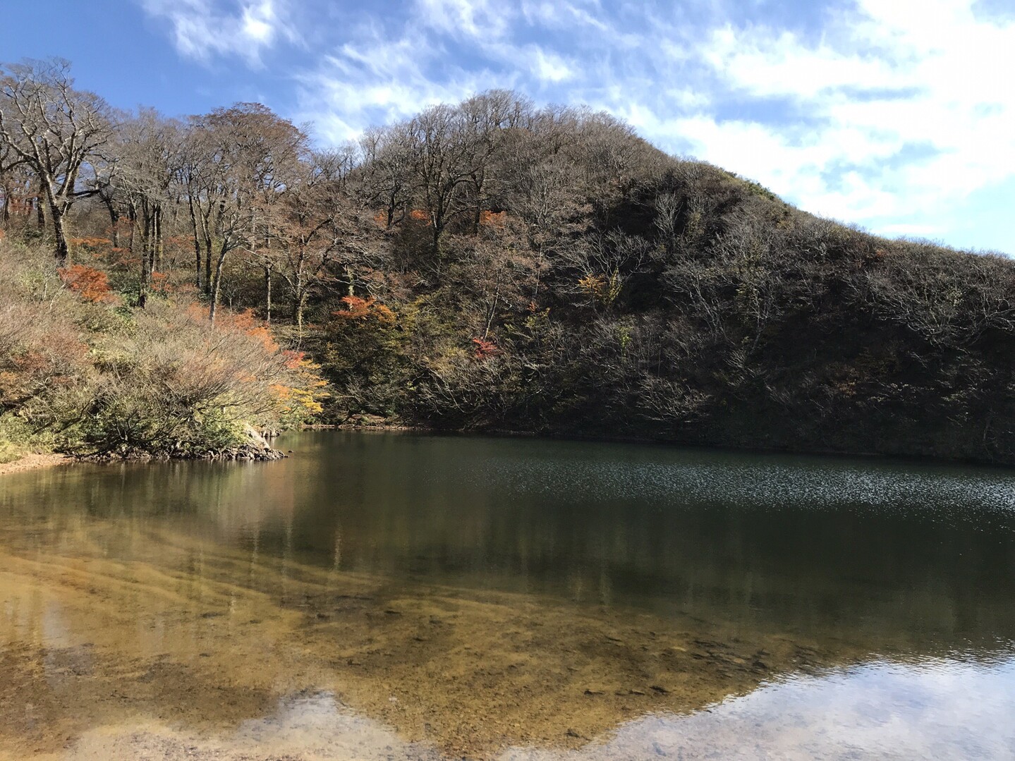 夜叉ヶ池山-2019-11-09 / Baziruさんの夜叉ヶ池山・三周ヶ岳の活動データ | YAMAP / ヤマップ