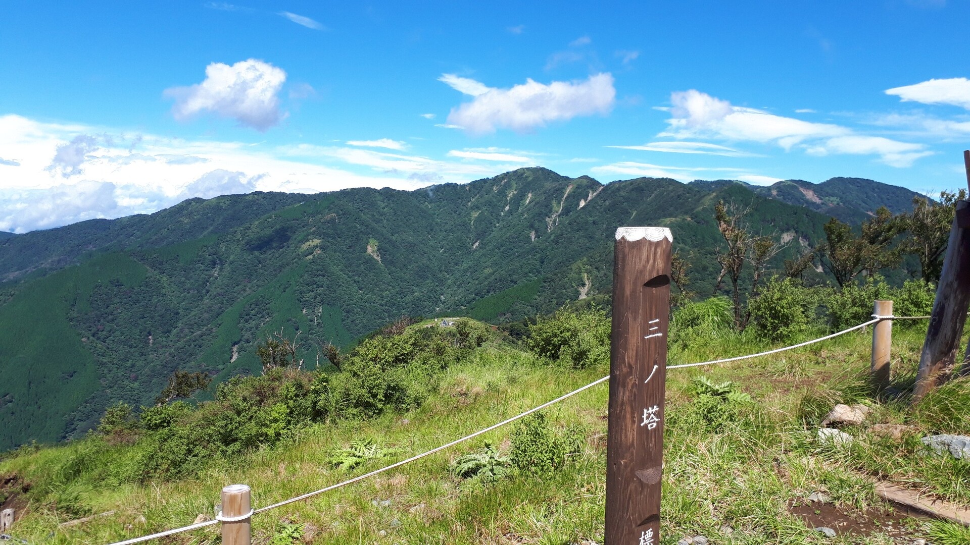 真夏の三ノ塔尾根 / mitchさんの塔ノ岳・丹沢山・蛭ヶ岳の活動データ | YAMAP / ヤマップ