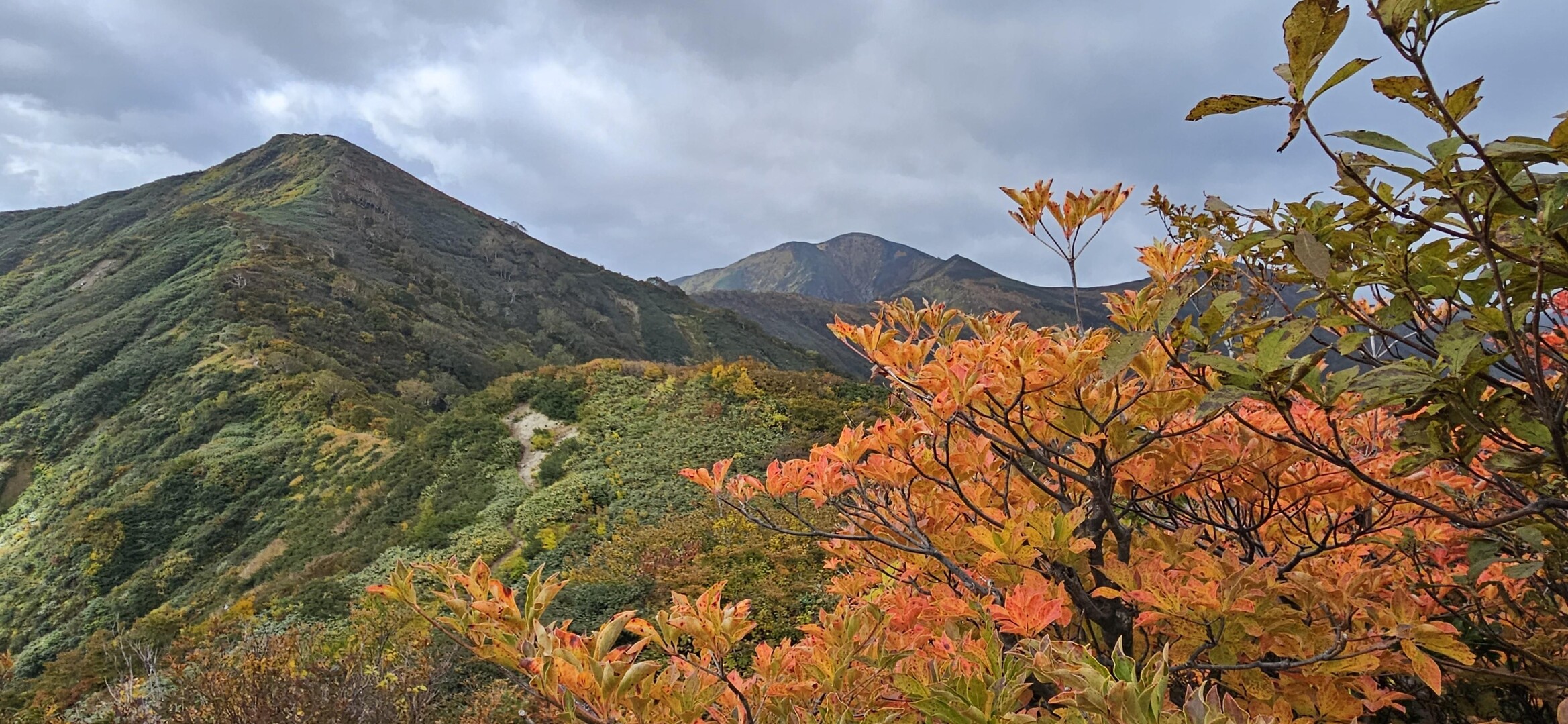 小朝日岳 •古寺山 / ひなごんこたろうさんの大朝日岳・朝日連峰・祝瓶山の活動データ | YAMAP / ヤマップ